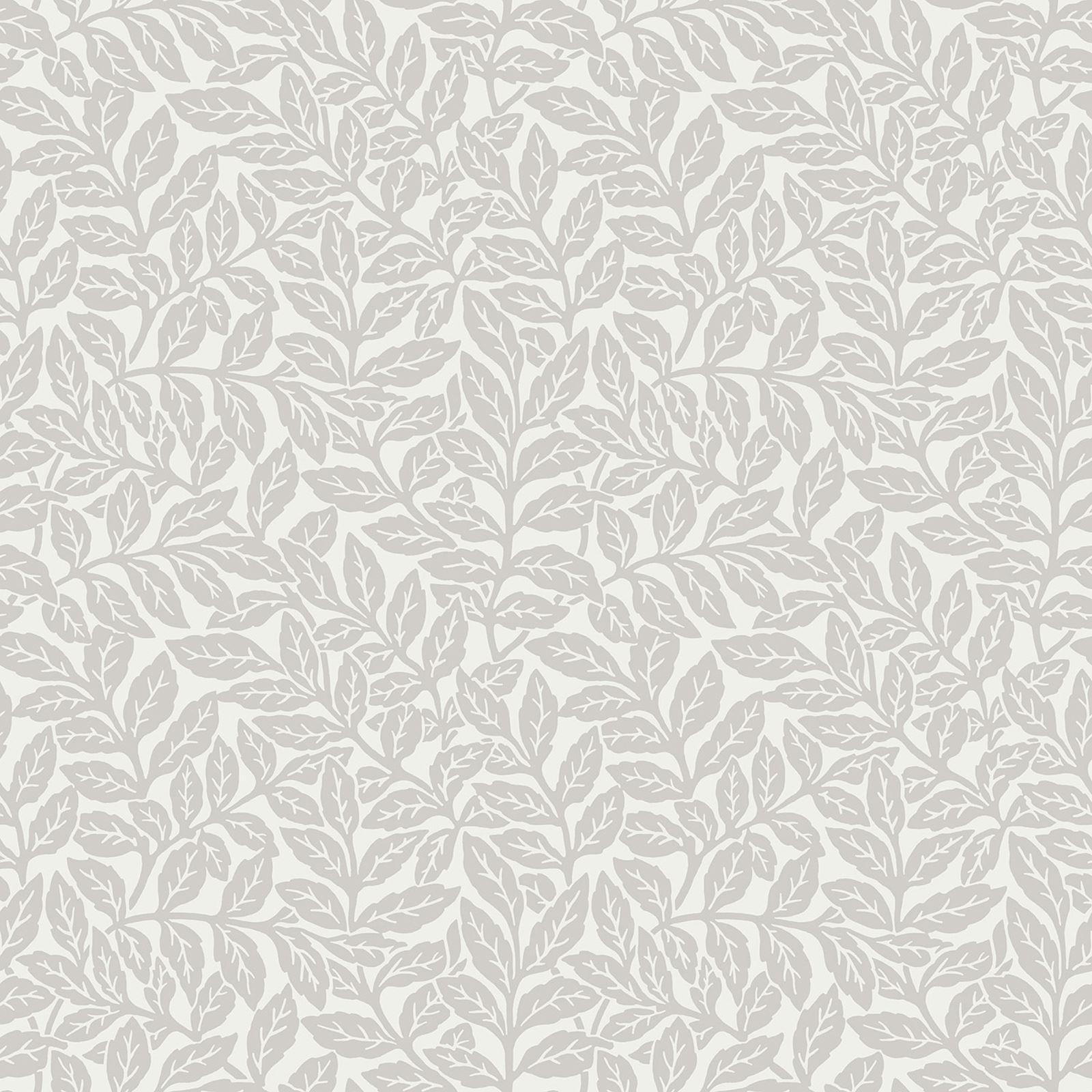 Ash Colour Wallpapers - Top Free Ash Colour Backgrounds - WallpaperAccess