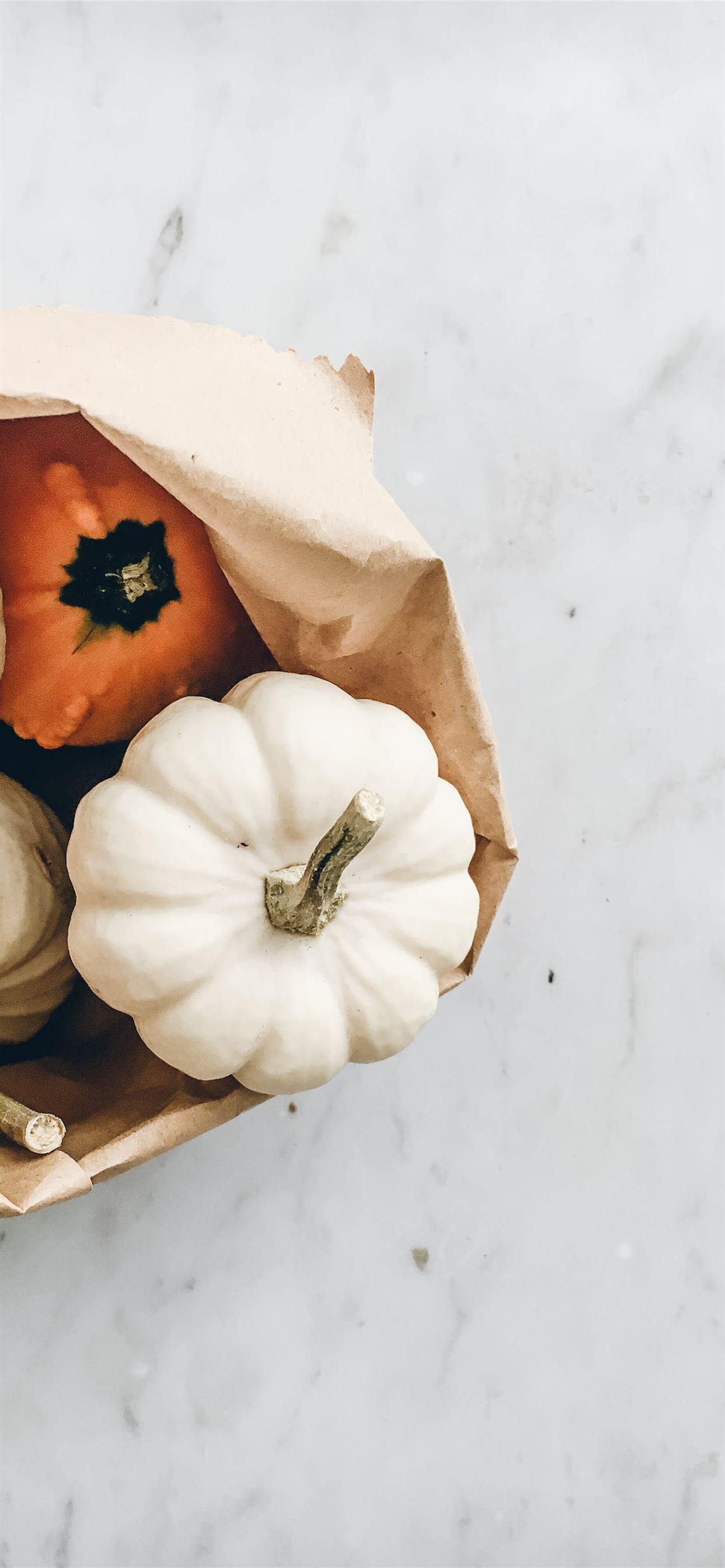 Squash Wallpapers - Top Free Squash Backgrounds - WallpaperAccess