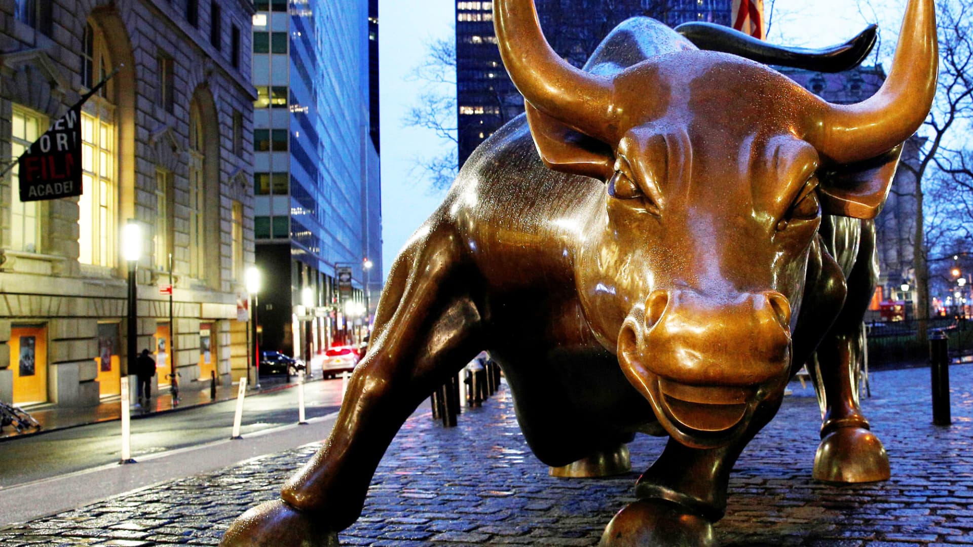 Big Bull Wallpapers - Top Free Big Bull Backgrounds - WallpaperAccess