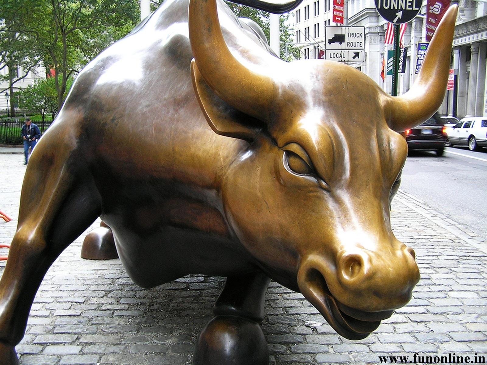 Big Bull Wallpapers - Top Free Big Bull Backgrounds - WallpaperAccess