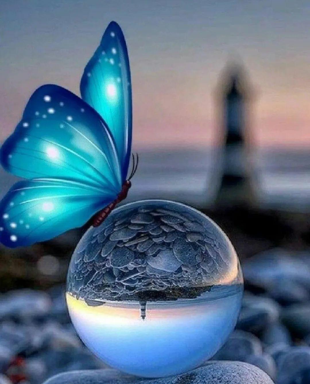 Instagram DP Wallpapers - Top Free Instagram DP Backgrounds ...