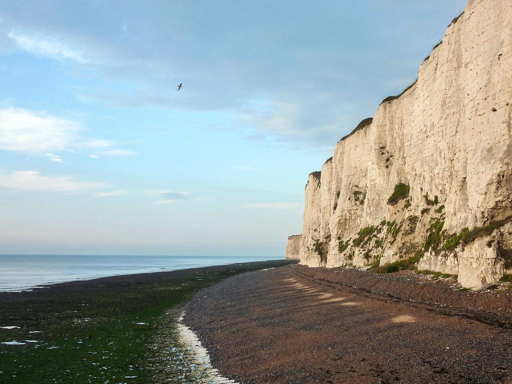 Dover Wallpapers - Top Free Dover Backgrounds - WallpaperAccess