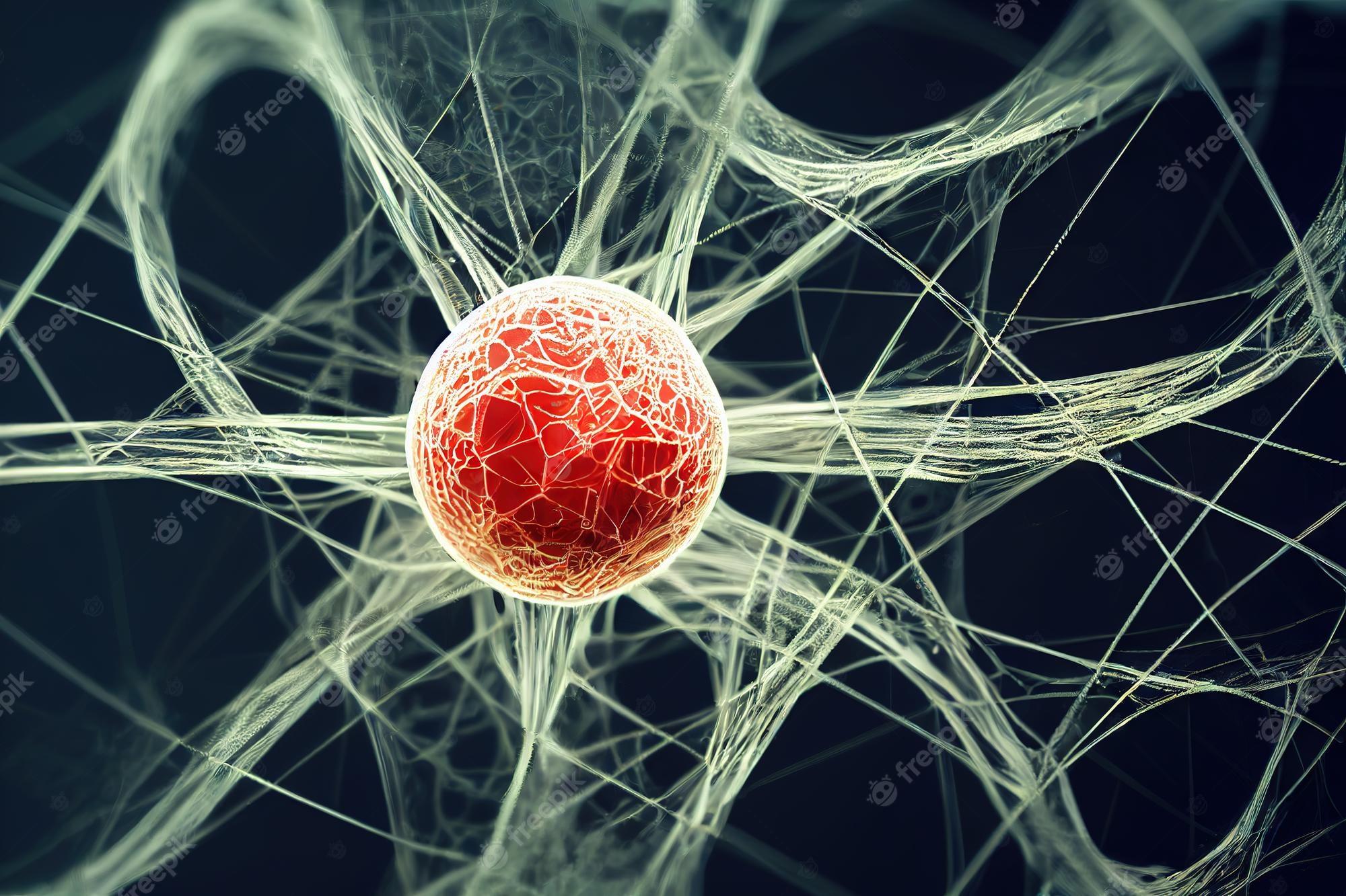 Nucleus Wallpapers - Top Free Nucleus Backgrounds - WallpaperAccess