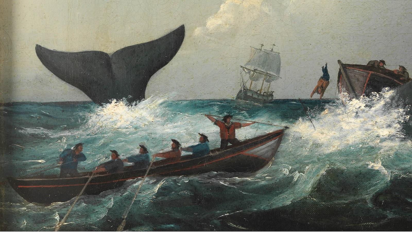 Moby Dick Wallpapers - Top Free Moby Dick Backgrounds - WallpaperAccess