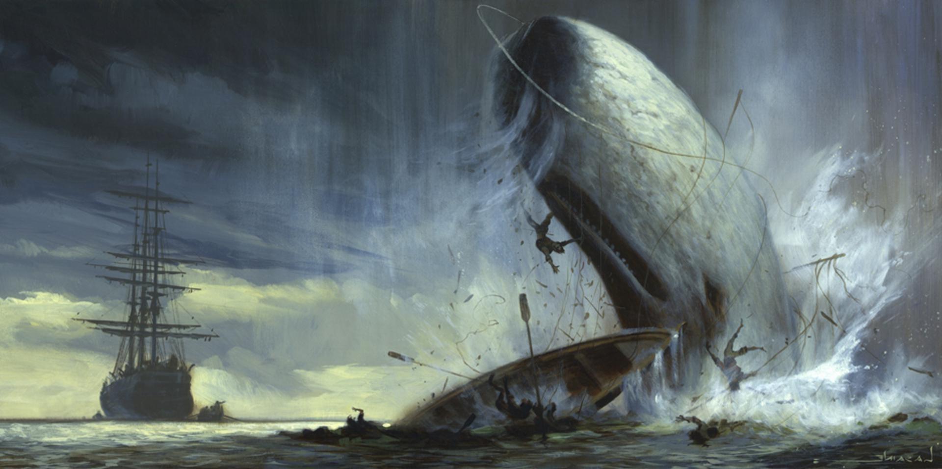 Moby Dick Wallpapers - Top Free Moby Dick Backgrounds - WallpaperAccess