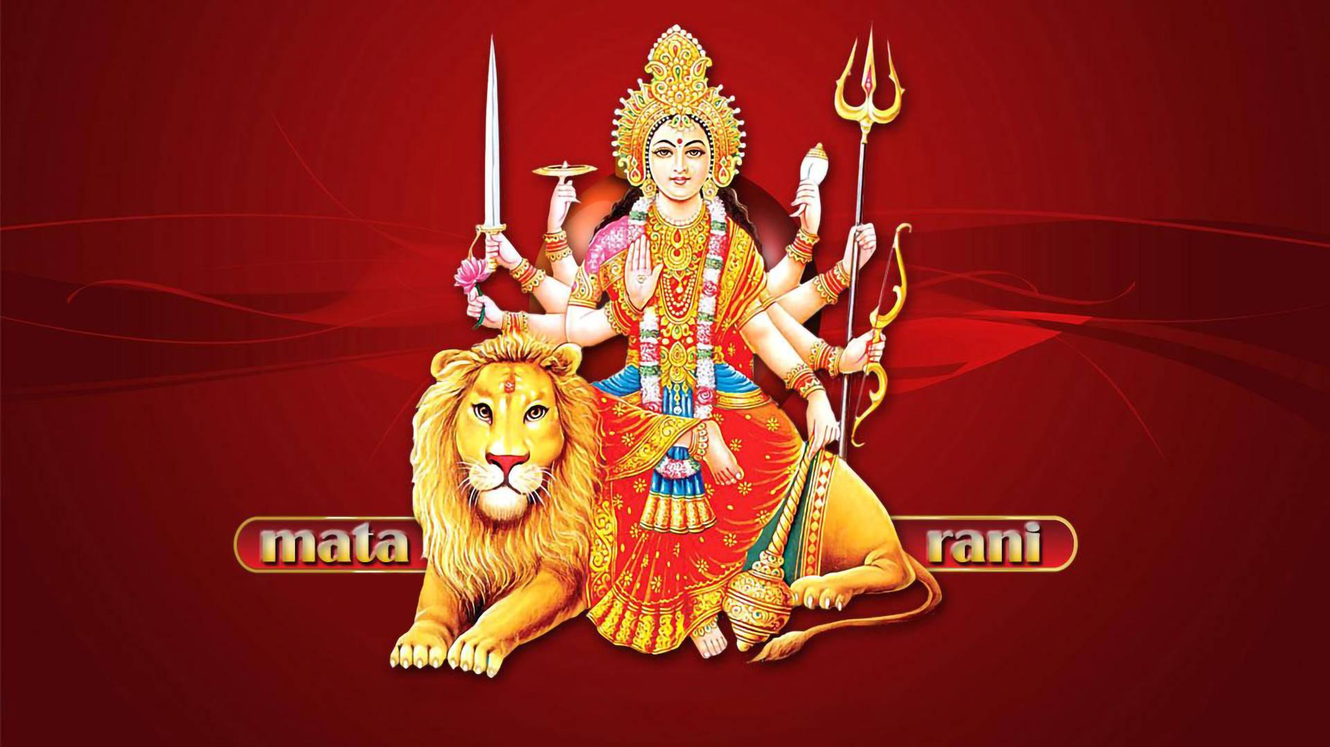 Matarani Wallpapers - Top Free Matarani Backgrounds - WallpaperAccess