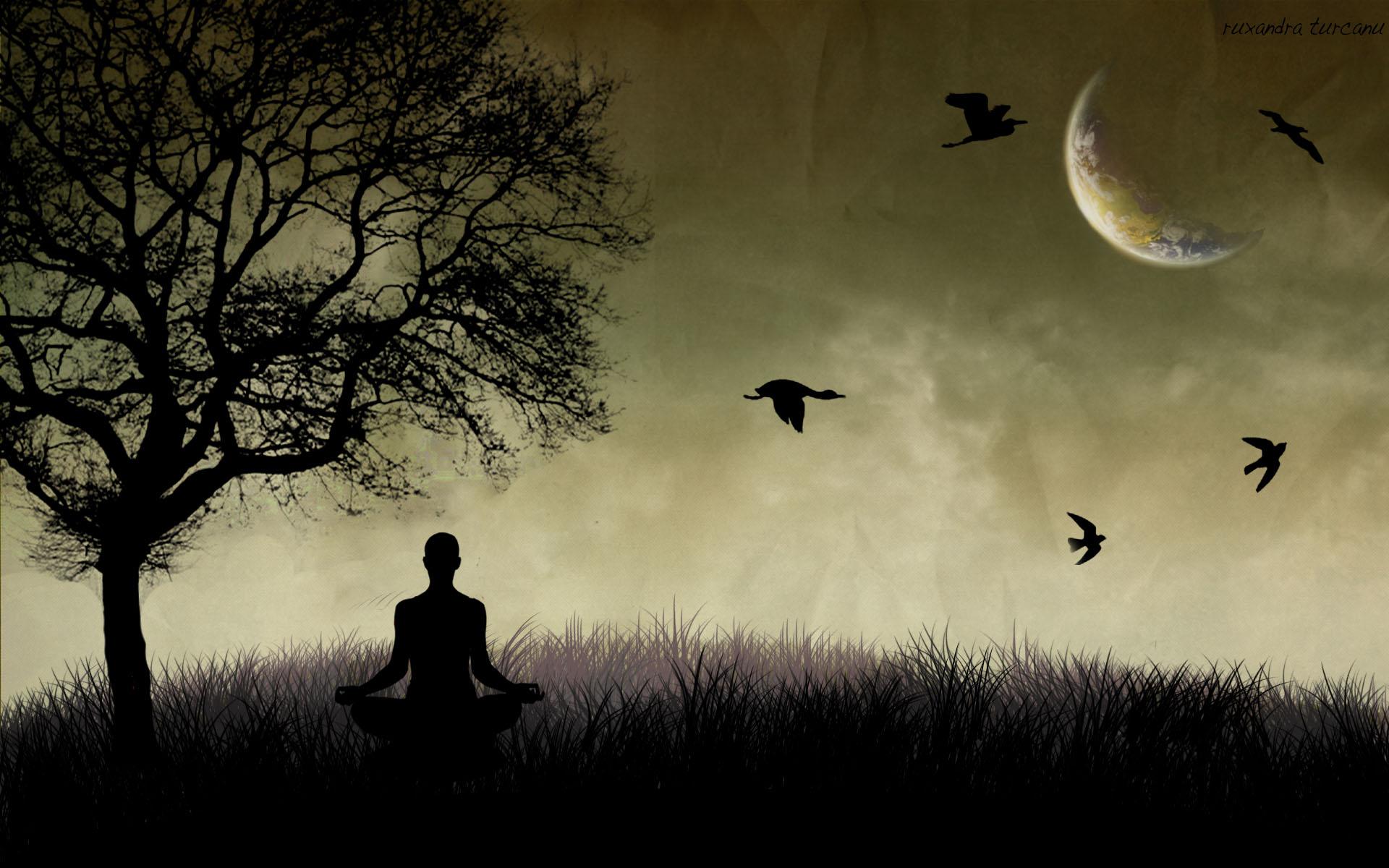 Detachment Wallpapers - Top Free Detachment Backgrounds - WallpaperAccess