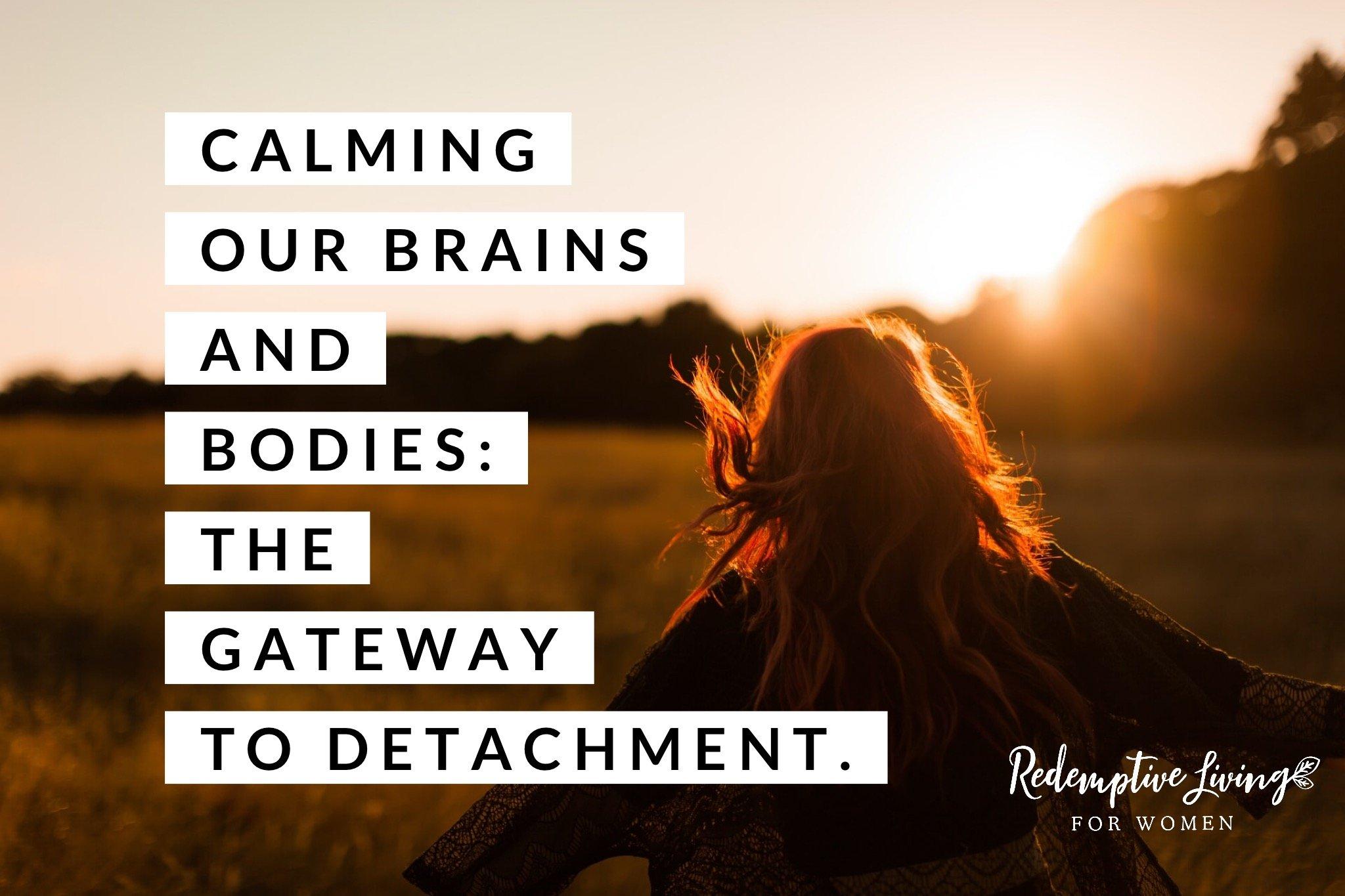 Detachment Wallpapers - Top Free Detachment Backgrounds - WallpaperAccess