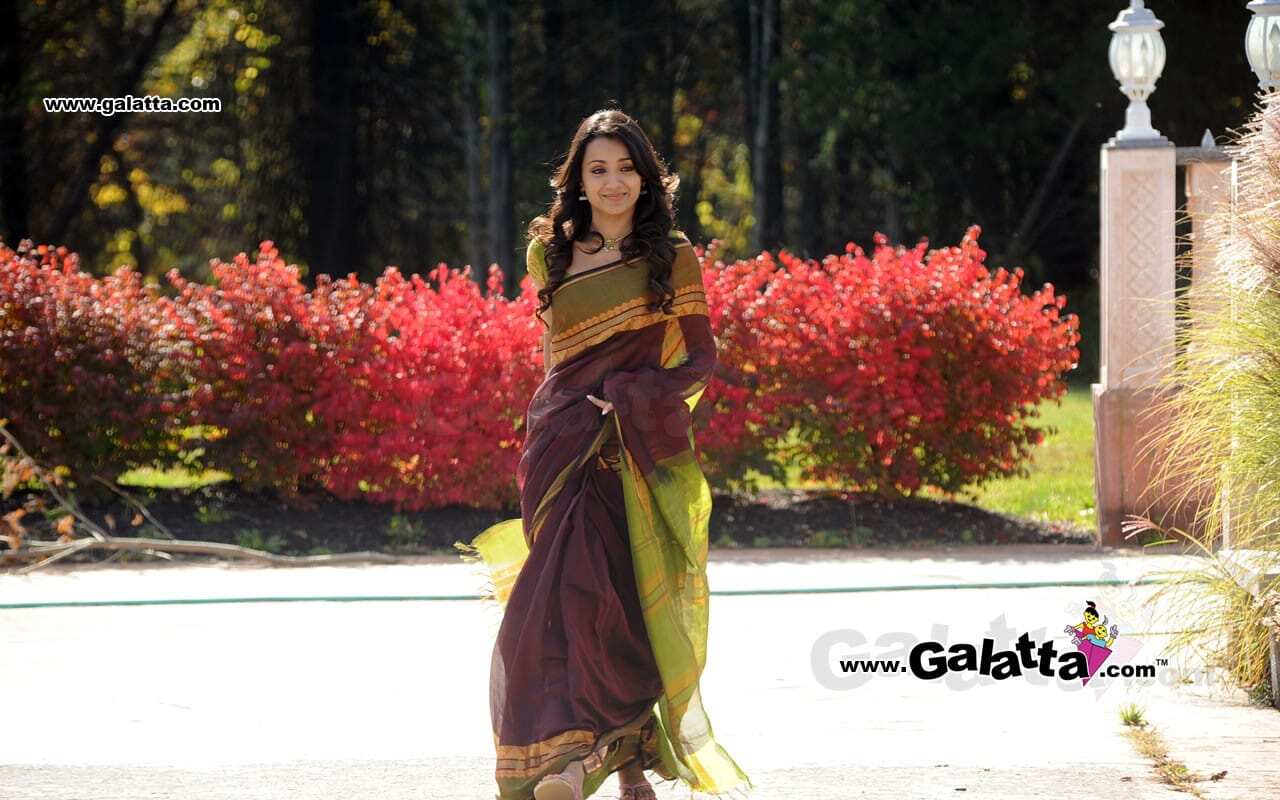 VTV Wallpapers - Top Free VTV Backgrounds - WallpaperAccess