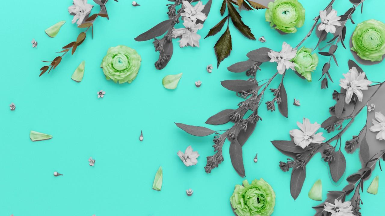 MLM Wallpapers - Top Free MLM Backgrounds - WallpaperAccess