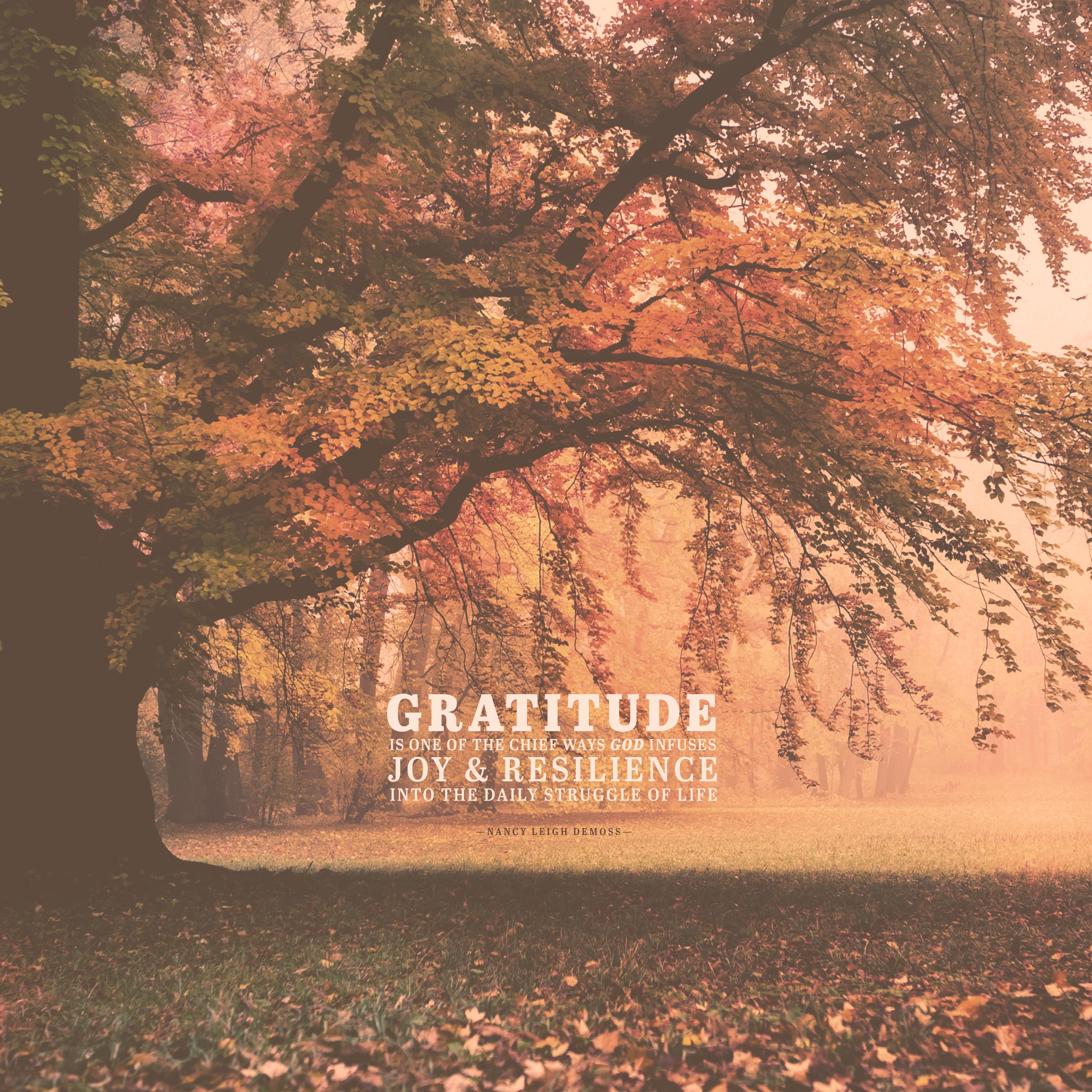 Resilience Wallpapers - Top Free Resilience Backgrounds - WallpaperAccess