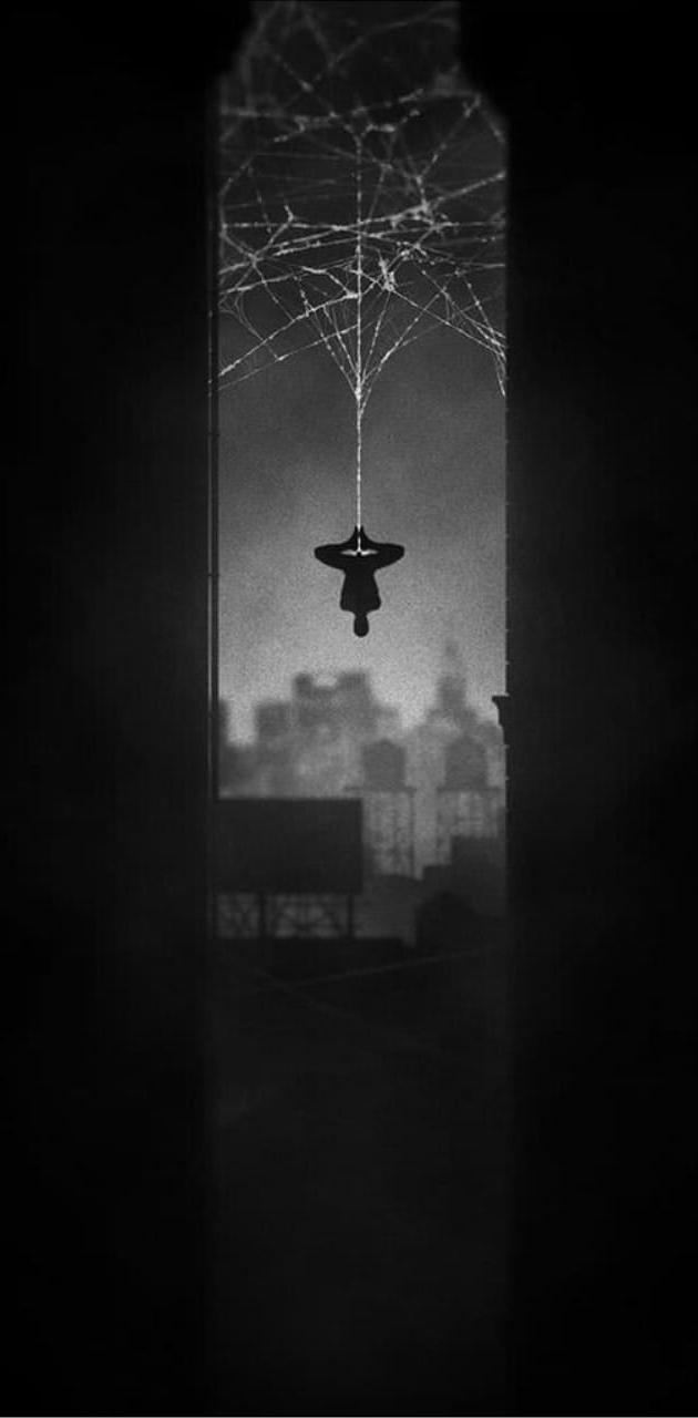 Spider Man Noir Wallpapers - Top Free Spider Man Noir Backgrounds ...
