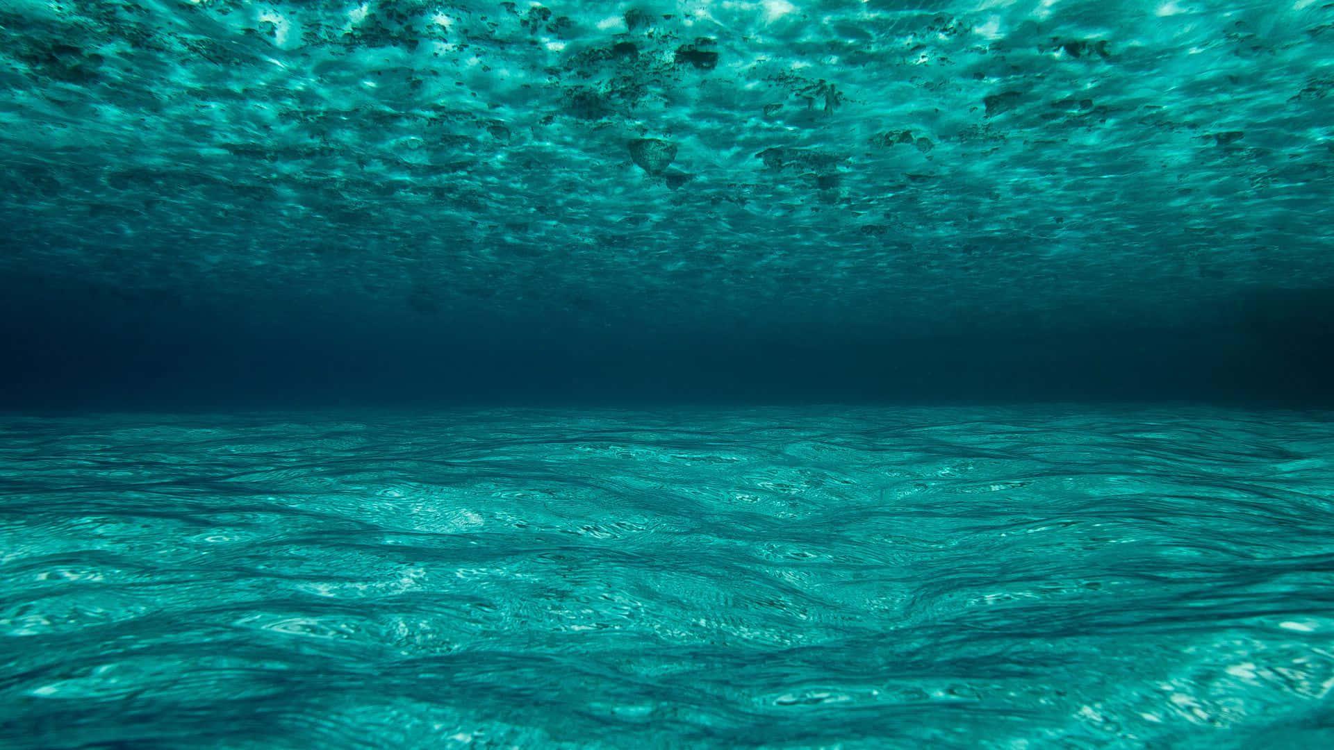 Sea Floor Wallpapers - Top Free Sea Floor Backgrounds - WallpaperAccess