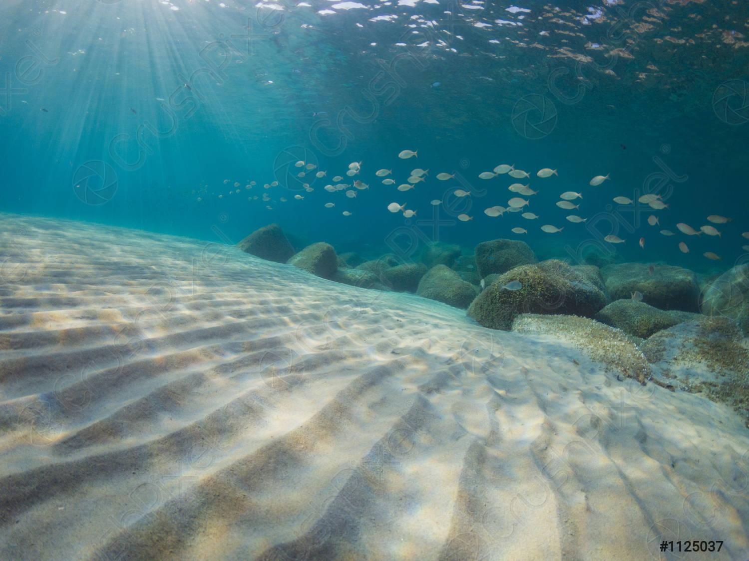 Sea Floor Wallpapers - Top Free Sea Floor Backgrounds - WallpaperAccess