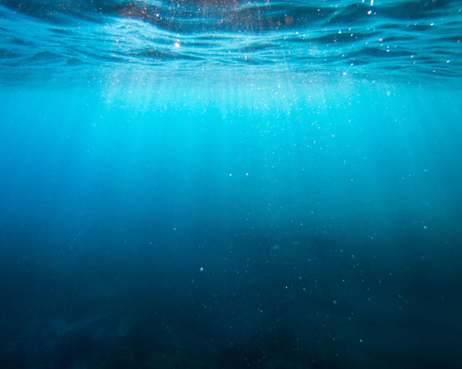 Sea Floor Wallpapers - Top Free Sea Floor Backgrounds - WallpaperAccess