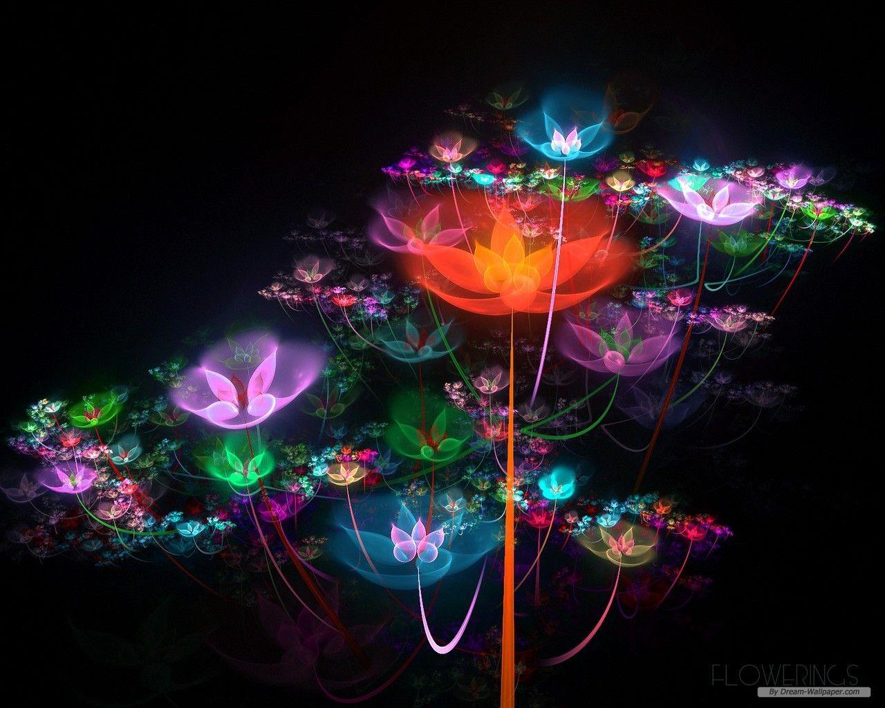 Creative Flower Wallpapers - Top Free Creative Flower Backgrounds ...