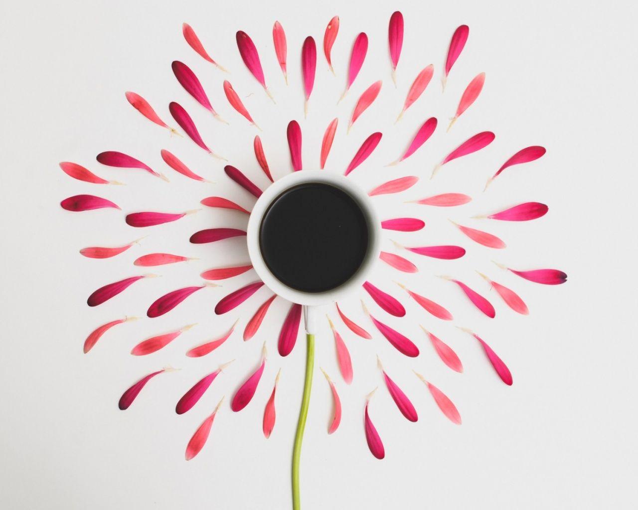 Creative Flower Wallpapers - Top Free Creative Flower Backgrounds ...