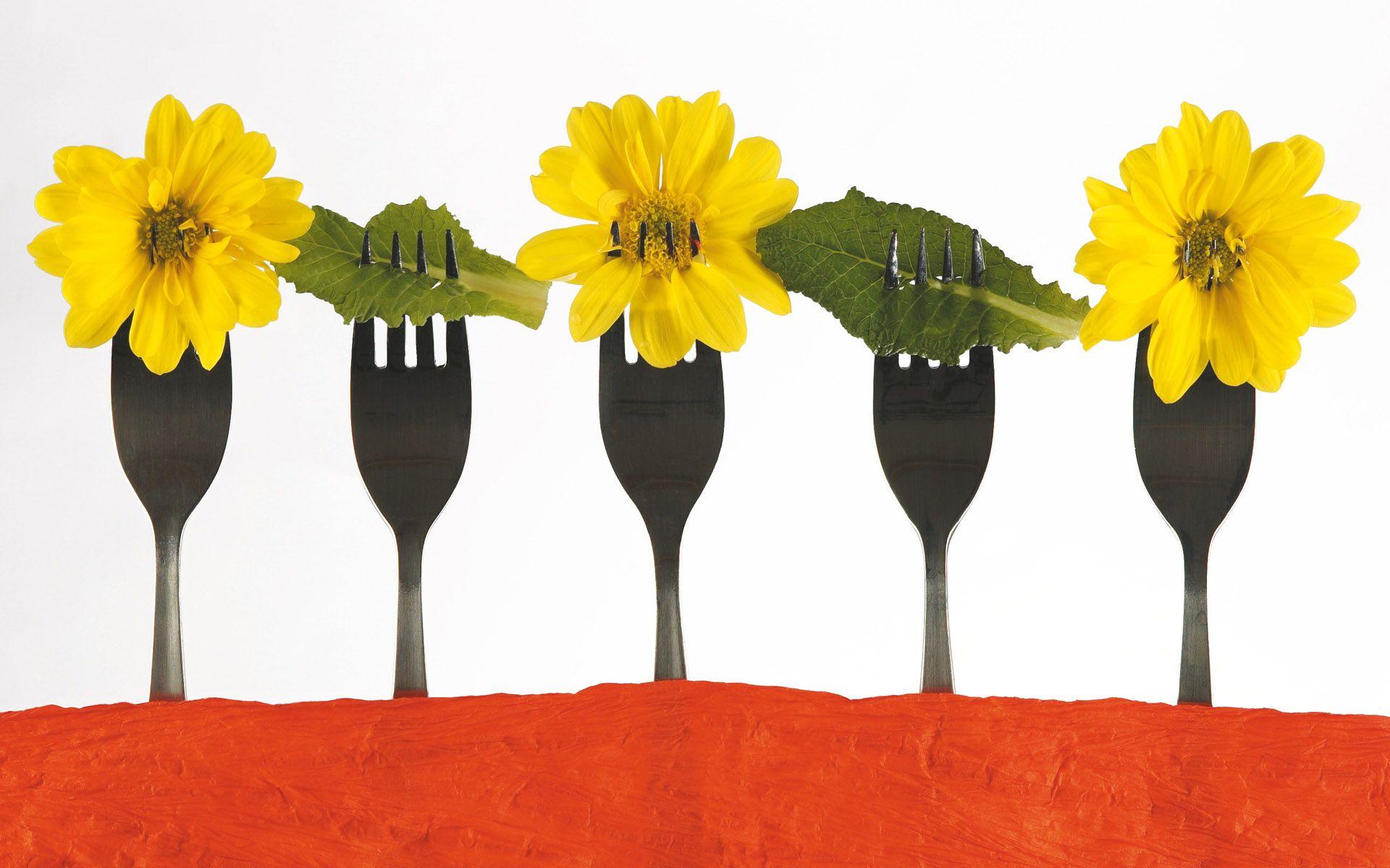 Creative Flower Wallpapers - Top Free Creative Flower Backgrounds ...