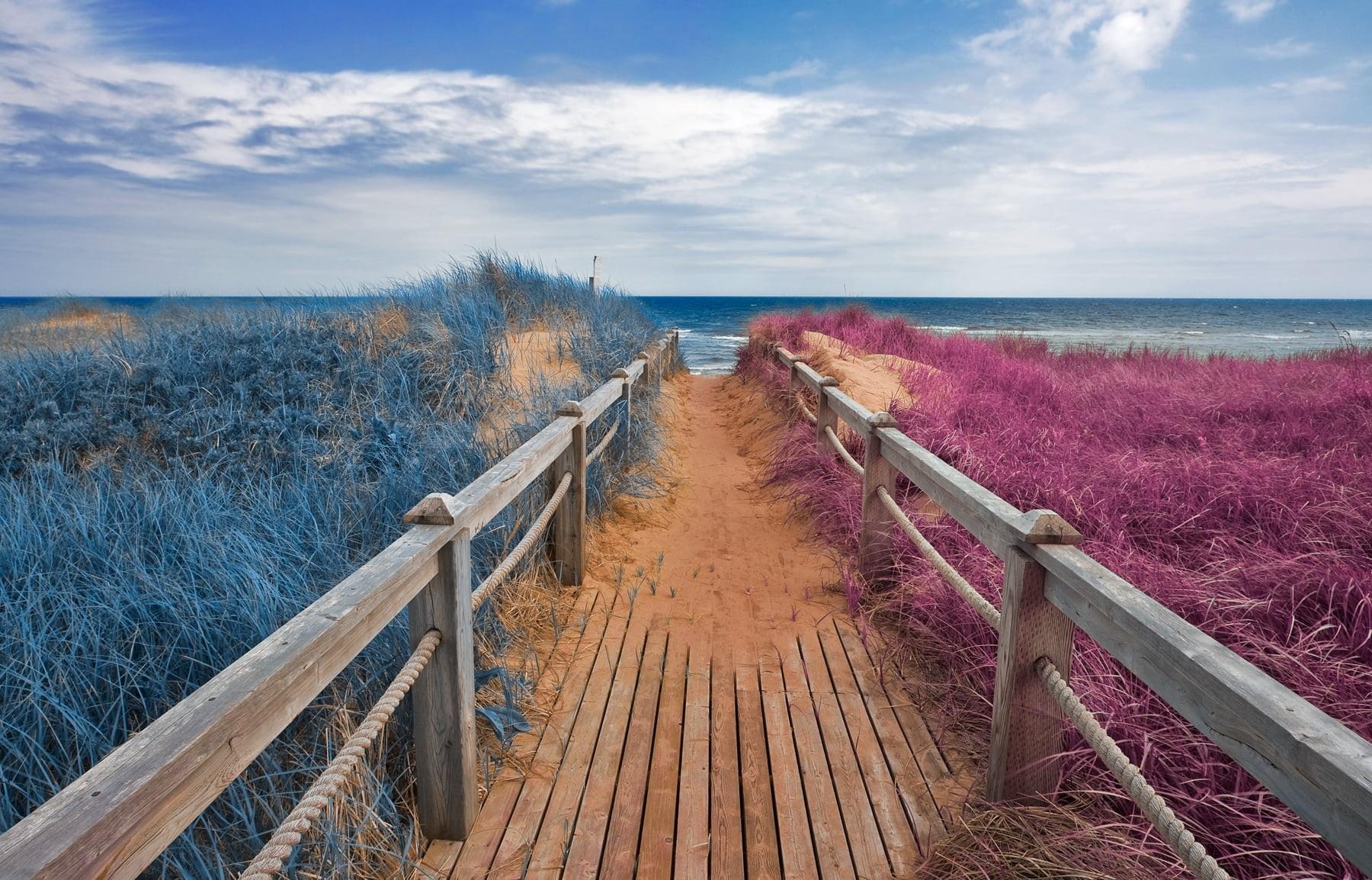 Prince Edward Island Wallpapers - Top Free Prince Edward Island ...