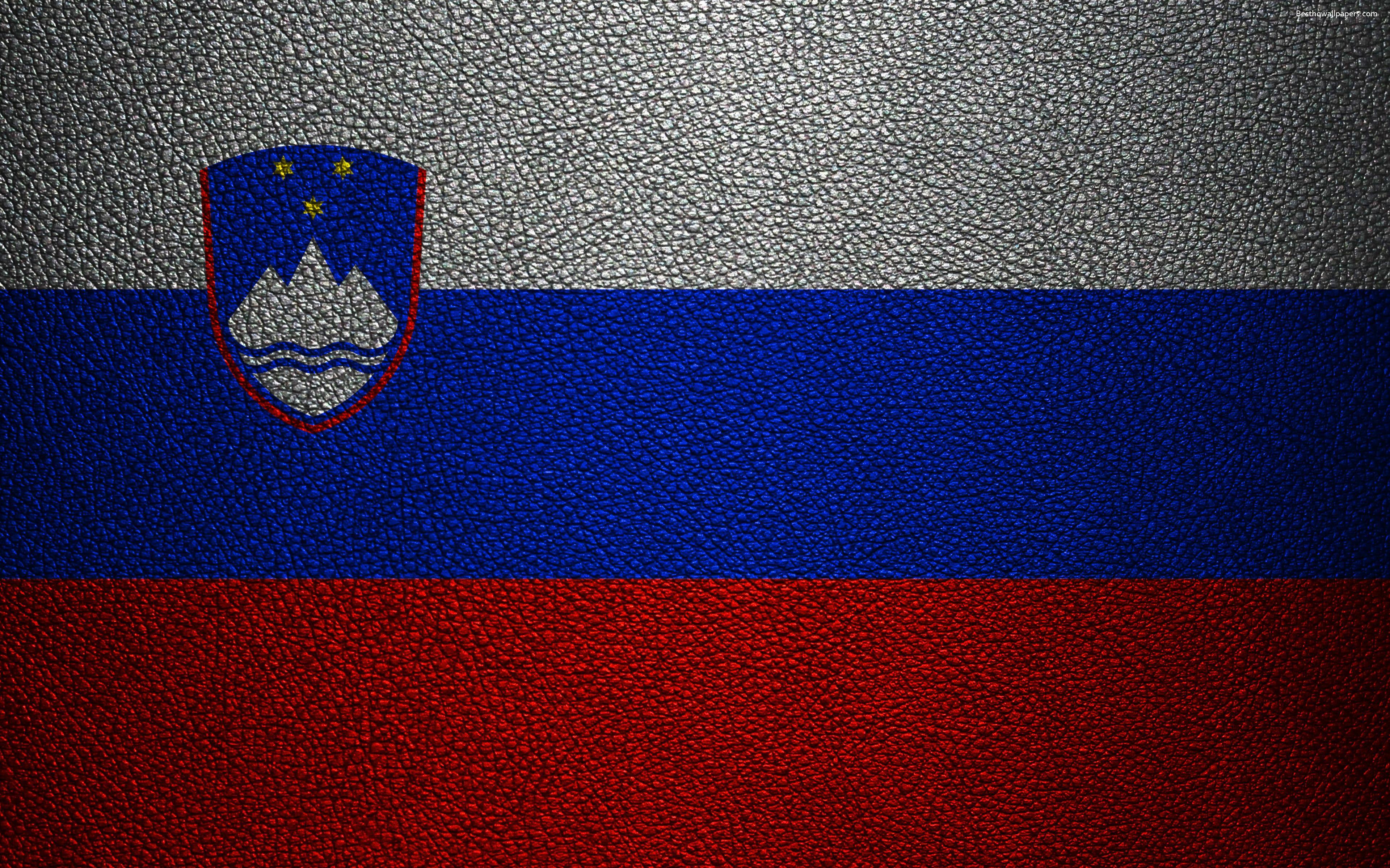 Slovenia Flag Wallpapers - Top Free Slovenia Flag Backgrounds ...