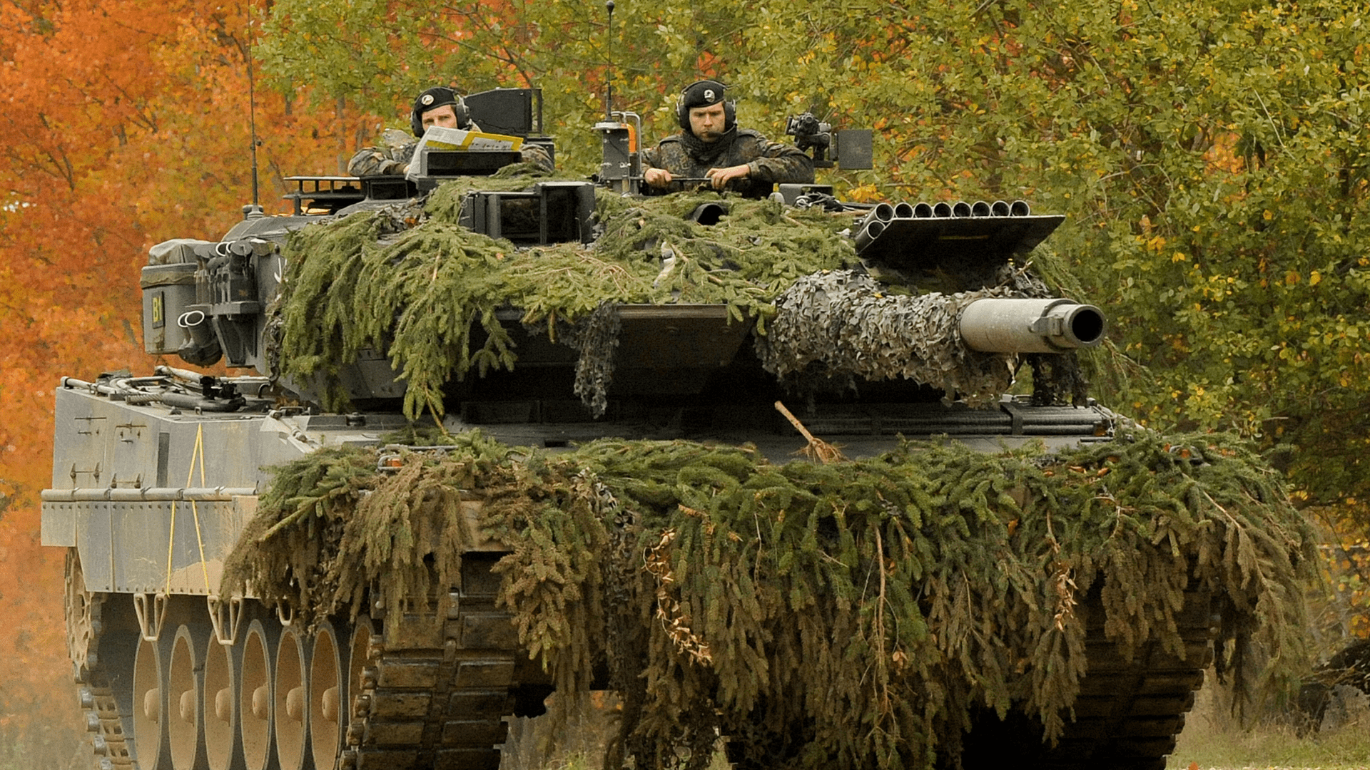 Leopard 2 Wallpapers - Top Free Leopard 2 Backgrounds - WallpaperAccess