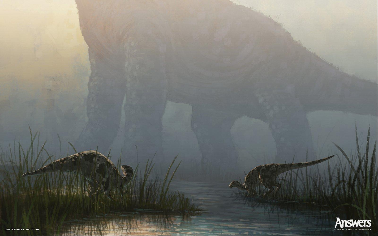 The Isle Wallpapers - Top Free The Isle Backgrounds - WallpaperAccess