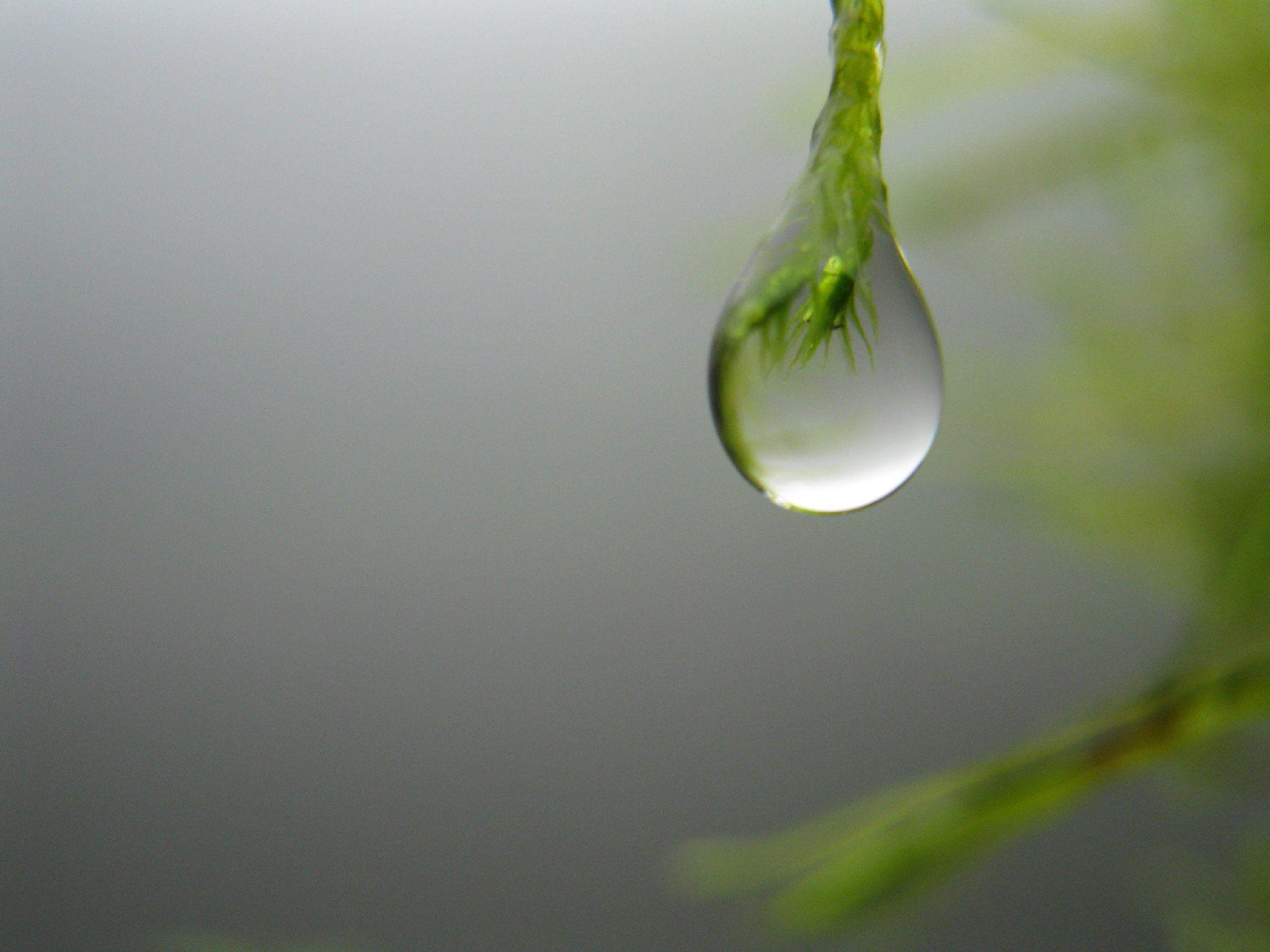 Water Cycle Wallpapers - Top Free Water Cycle Backgrounds - WallpaperAccess