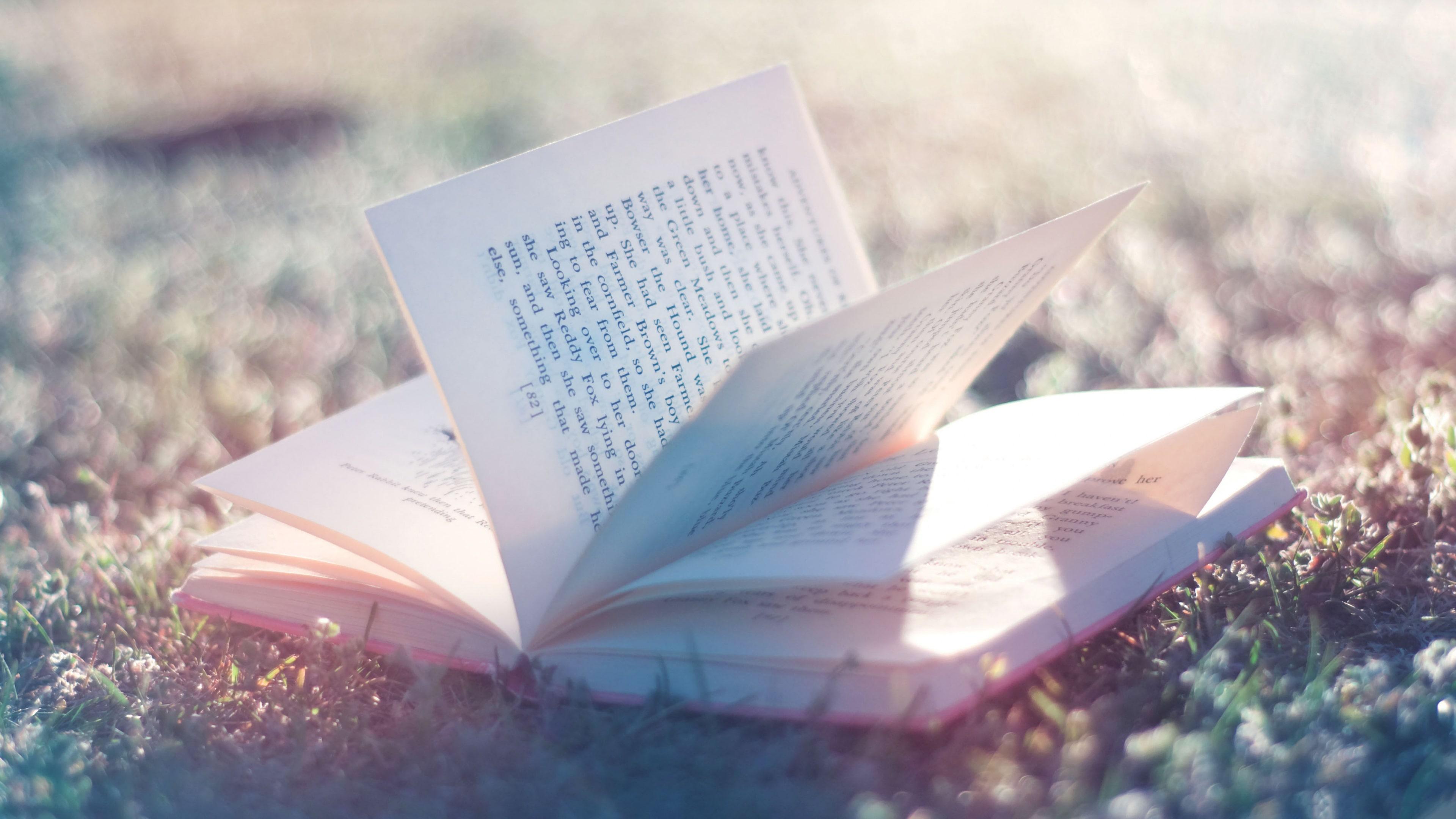 Book Lover Wallpapers - Top Free Book Lover Backgrounds - WallpaperAccess