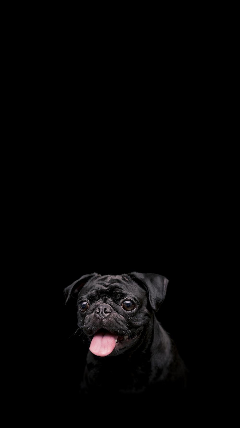 Low Key Wallpapers - Top Free Low Key Backgrounds - WallpaperAccess