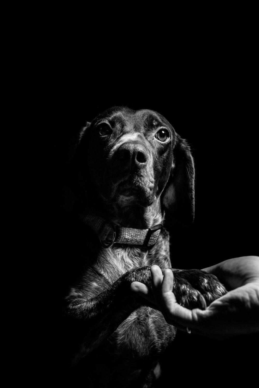 Low Key Wallpapers - Top Free Low Key Backgrounds - WallpaperAccess