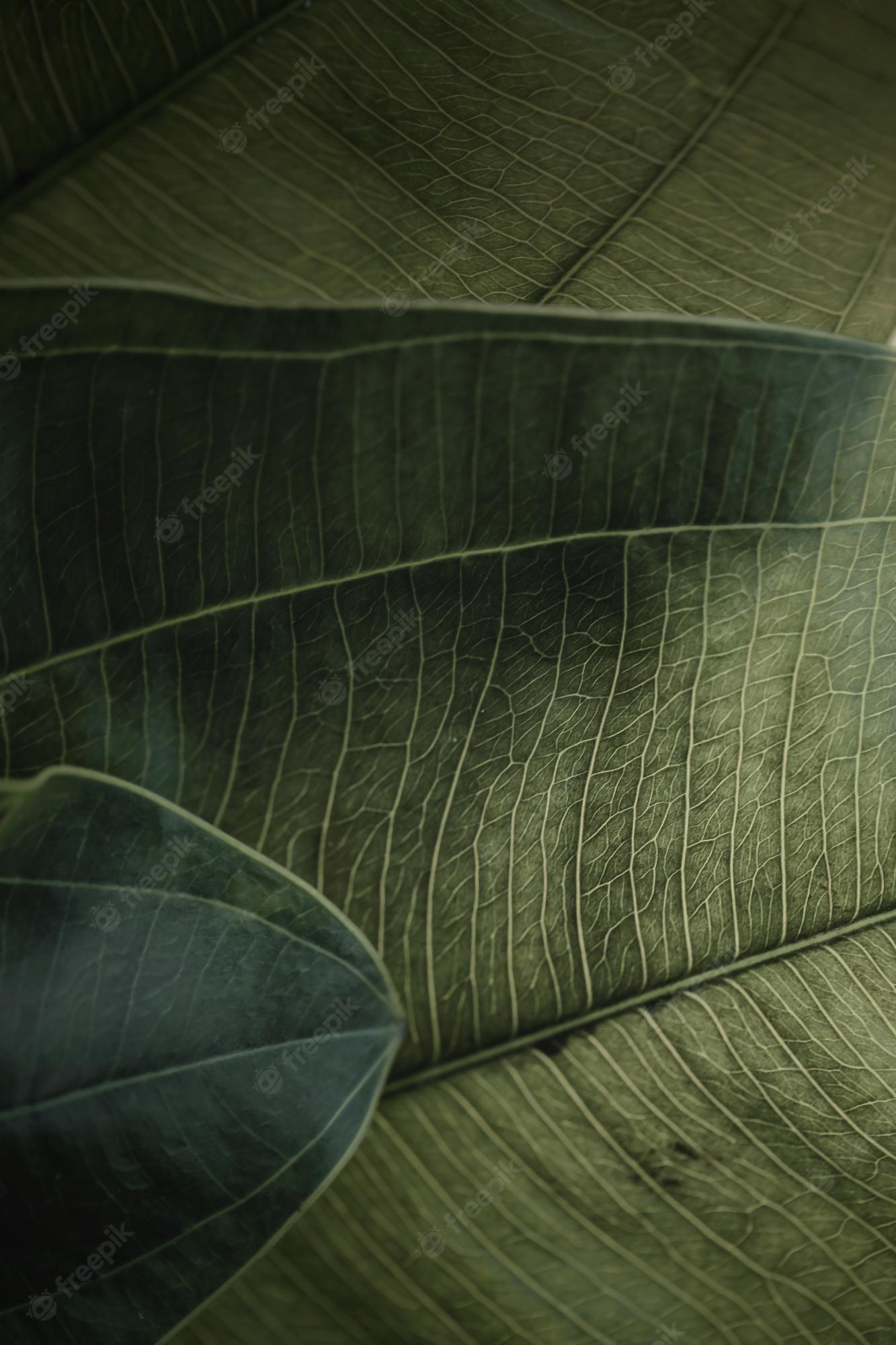 Lowkey Wallpapers - Top Free Lowkey Backgrounds - WallpaperAccess