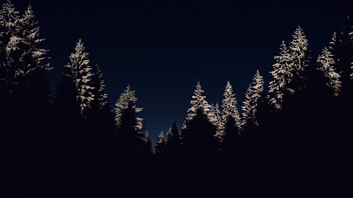 Black Winter Wallpapers - Top Free Black Winter Backgrounds ...