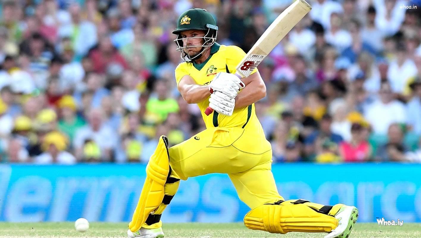 Aaron Finch Wallpapers - Top Free Aaron Finch Backgrounds - WallpaperAccess