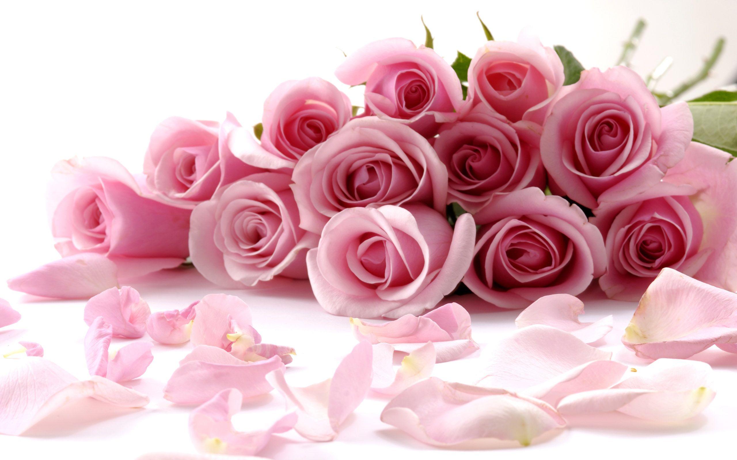 Light Pink Flower Wallpapers - Top Free Light Pink Flower Backgrounds ...