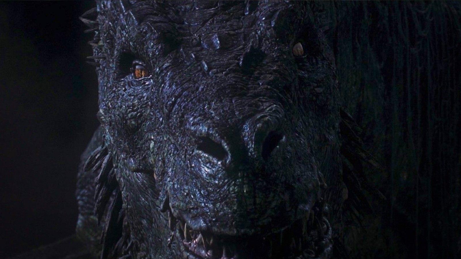 Vhagar Wallpapers - Top Free Vhagar Backgrounds - WallpaperAccess