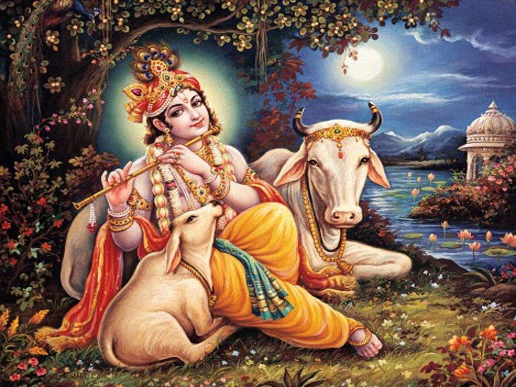 Krishna With Cow Wallpapers - Top Free Krishna With Cow Backgrounds ...