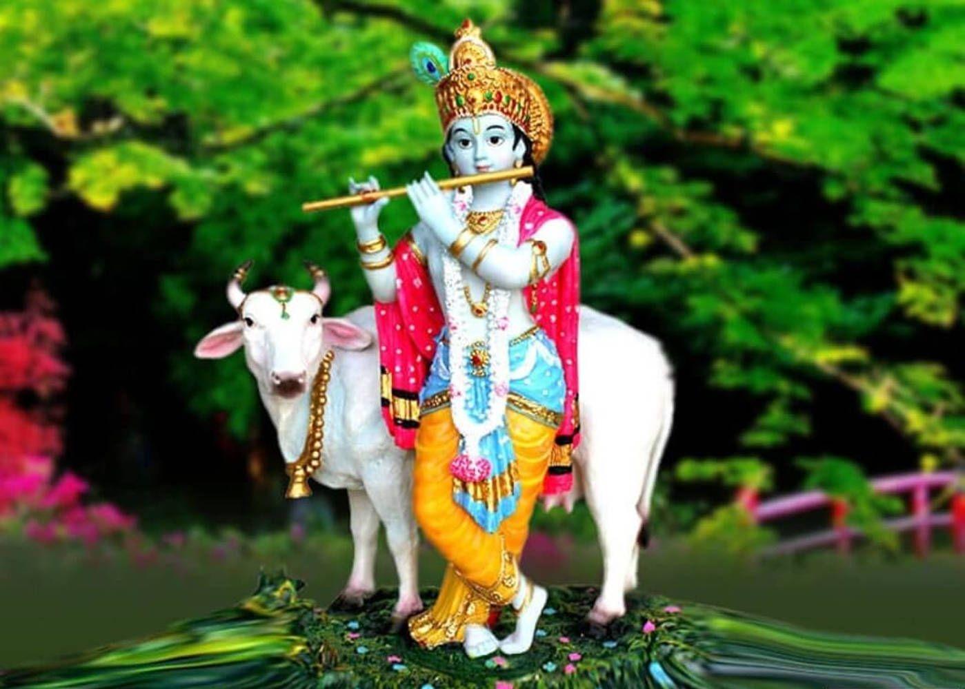 Krishna With Cow Wallpapers - Top Free Krishna With Cow Backgrounds ...
