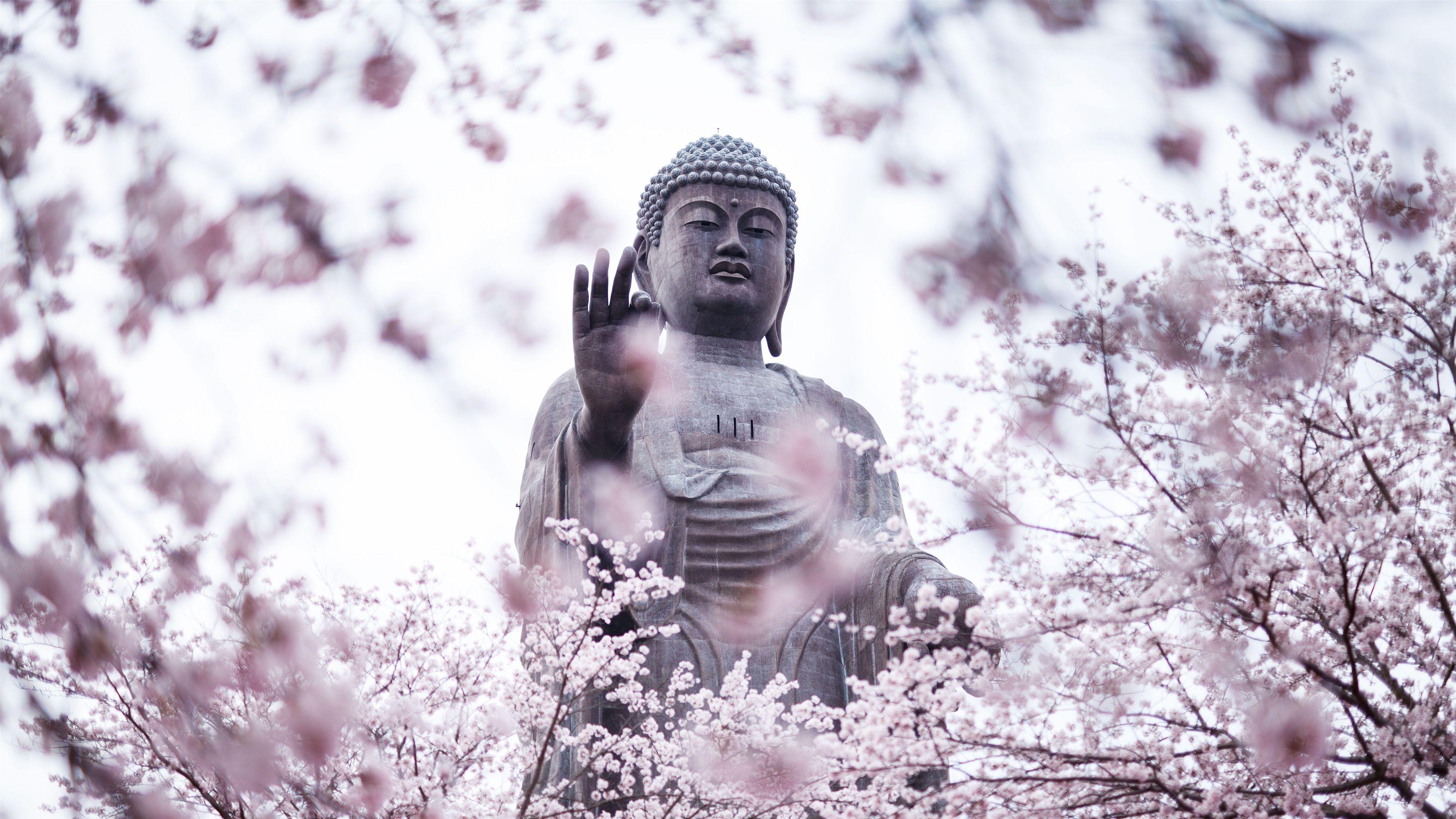 Buddha Statue Wallpapers - Top Free Buddha Statue Backgrounds ...