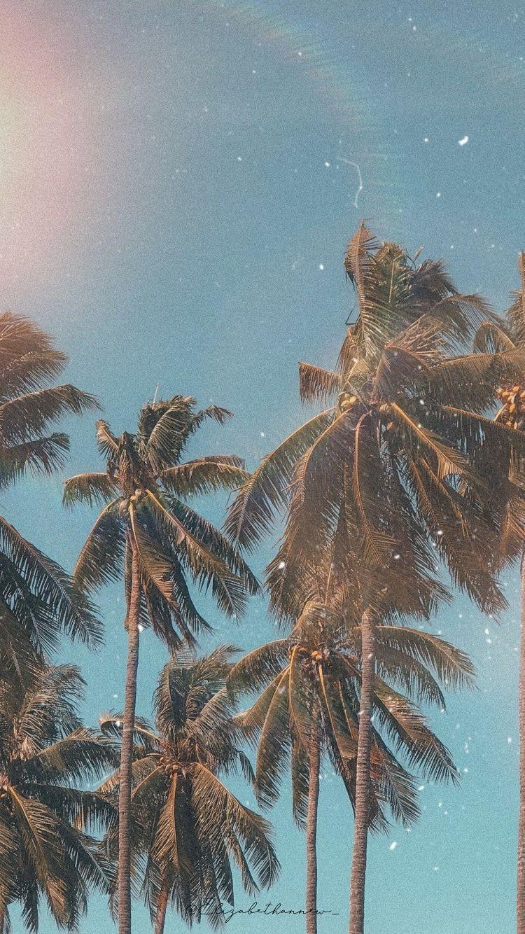 Cruel Summer Wallpapers - Top Free Cruel Summer Backgrounds ...