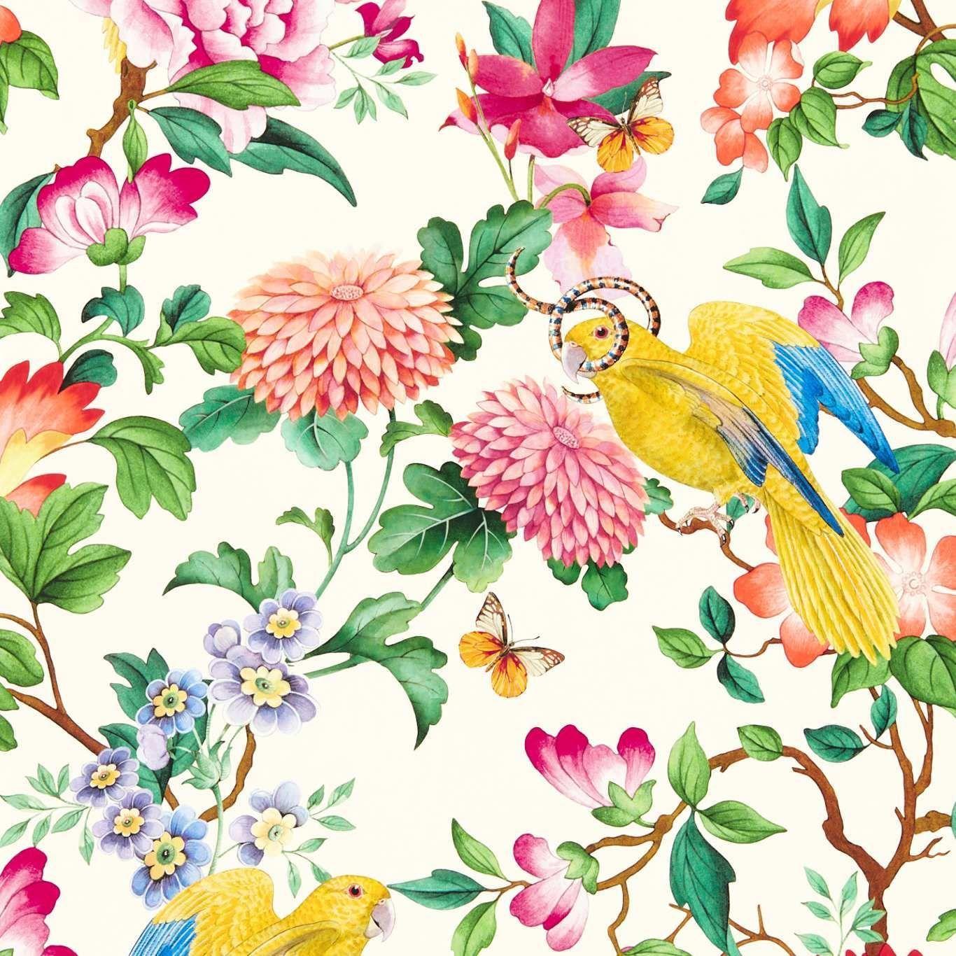Parrot Pattern Wallpapers - Top Free Parrot Pattern Backgrounds ...