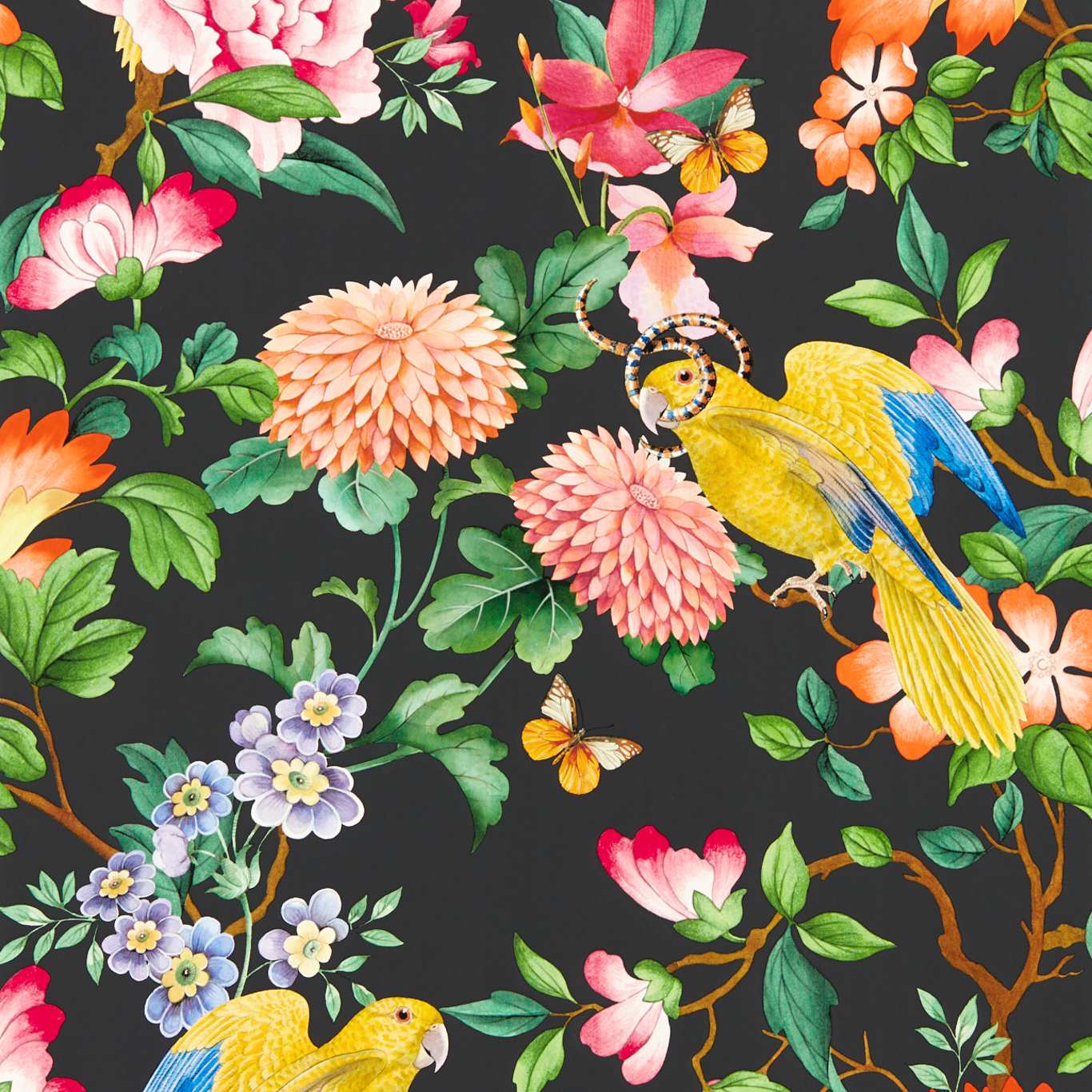 Parrot Pattern Wallpapers - Top Free Parrot Pattern Backgrounds ...