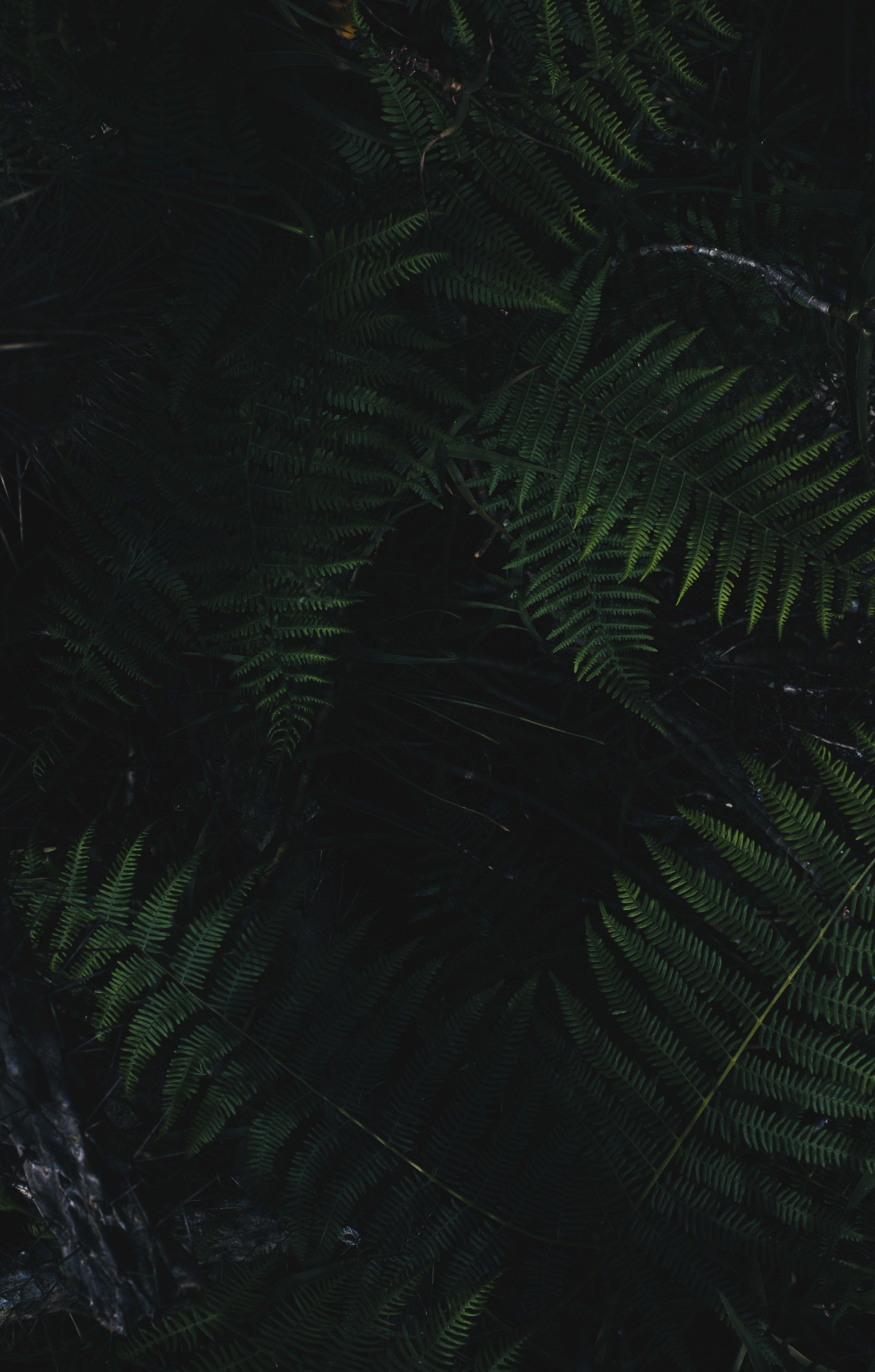 Dark Aesthetic 4k Wallpapers Top Free Dark Aesthetic 4k Backgrounds
