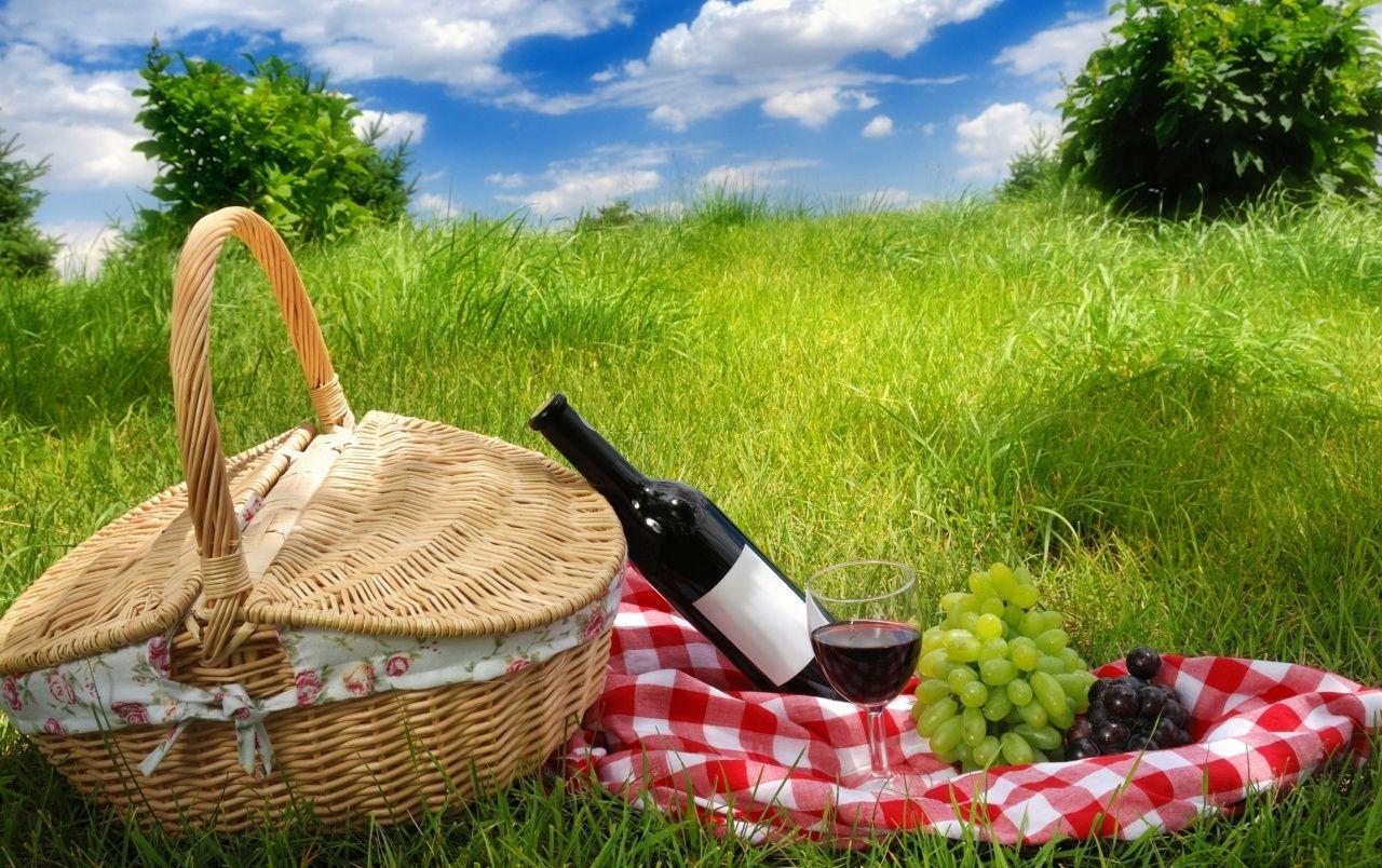 Summer Picnic Wallpapers - Top Free Summer Picnic Backgrounds - WallpaperAccess