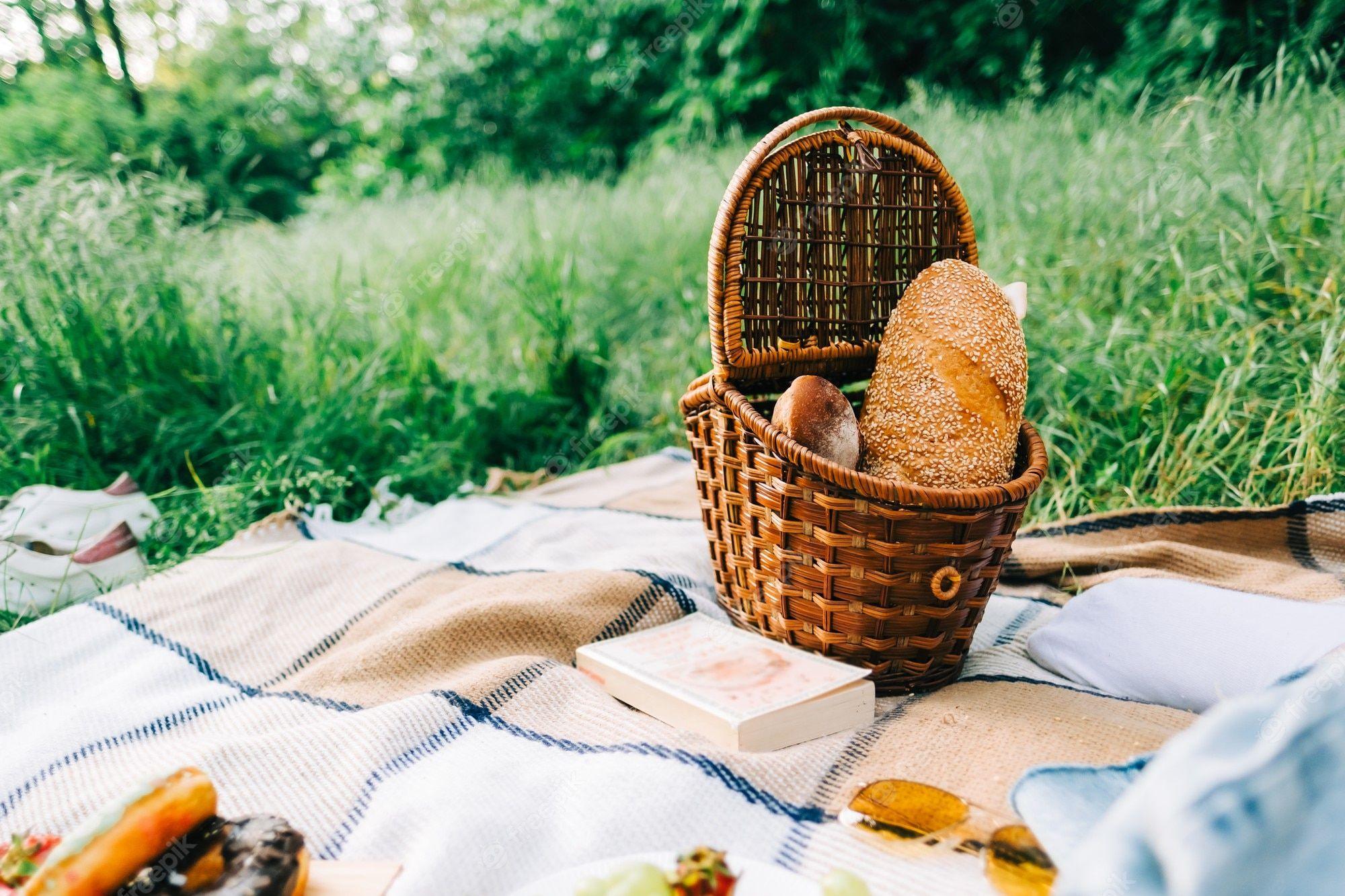 Summer Picnic Wallpapers - Top Free Summer Picnic Backgrounds ...