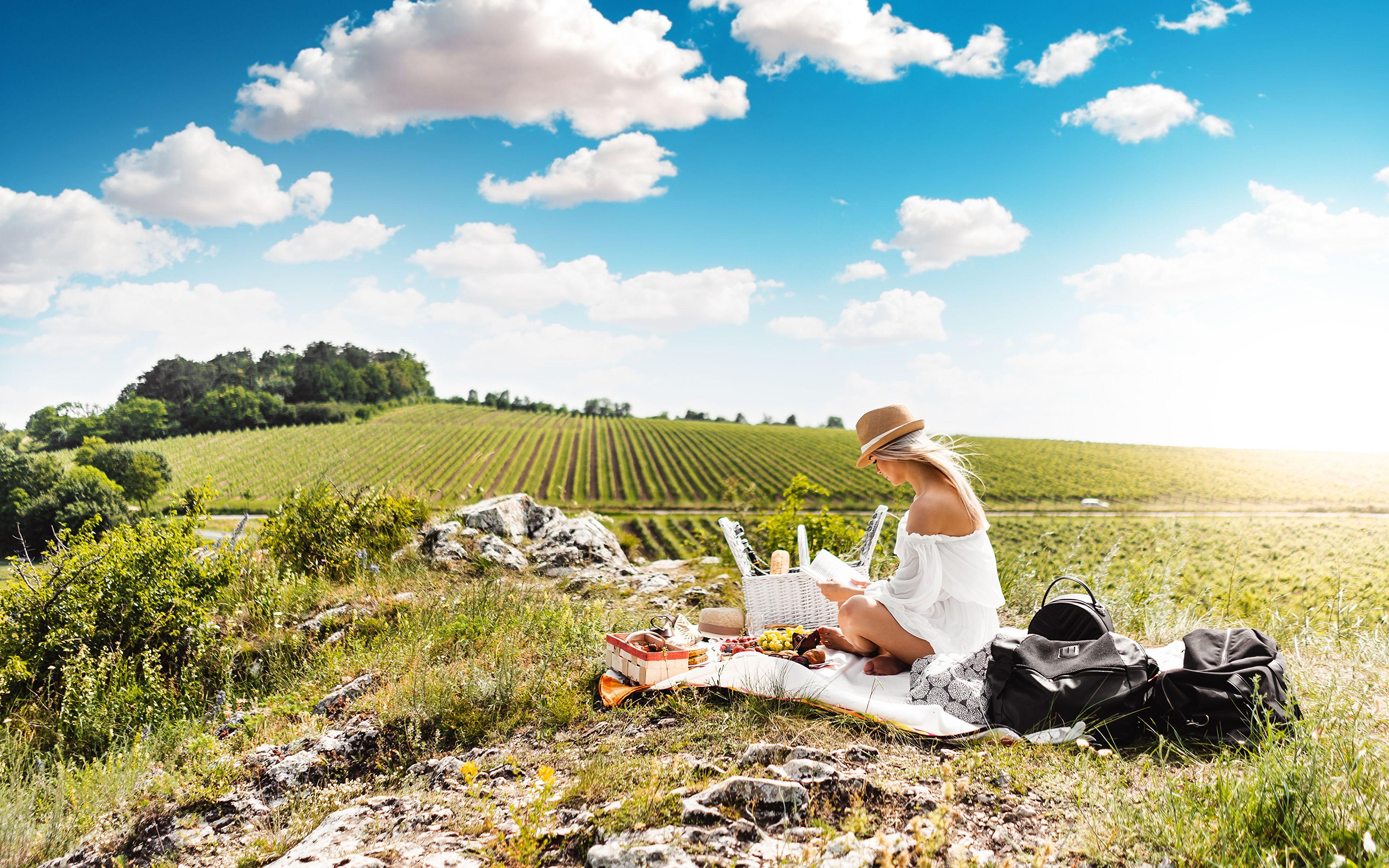 Summer Picnic Wallpapers - Top Free Summer Picnic Backgrounds ...