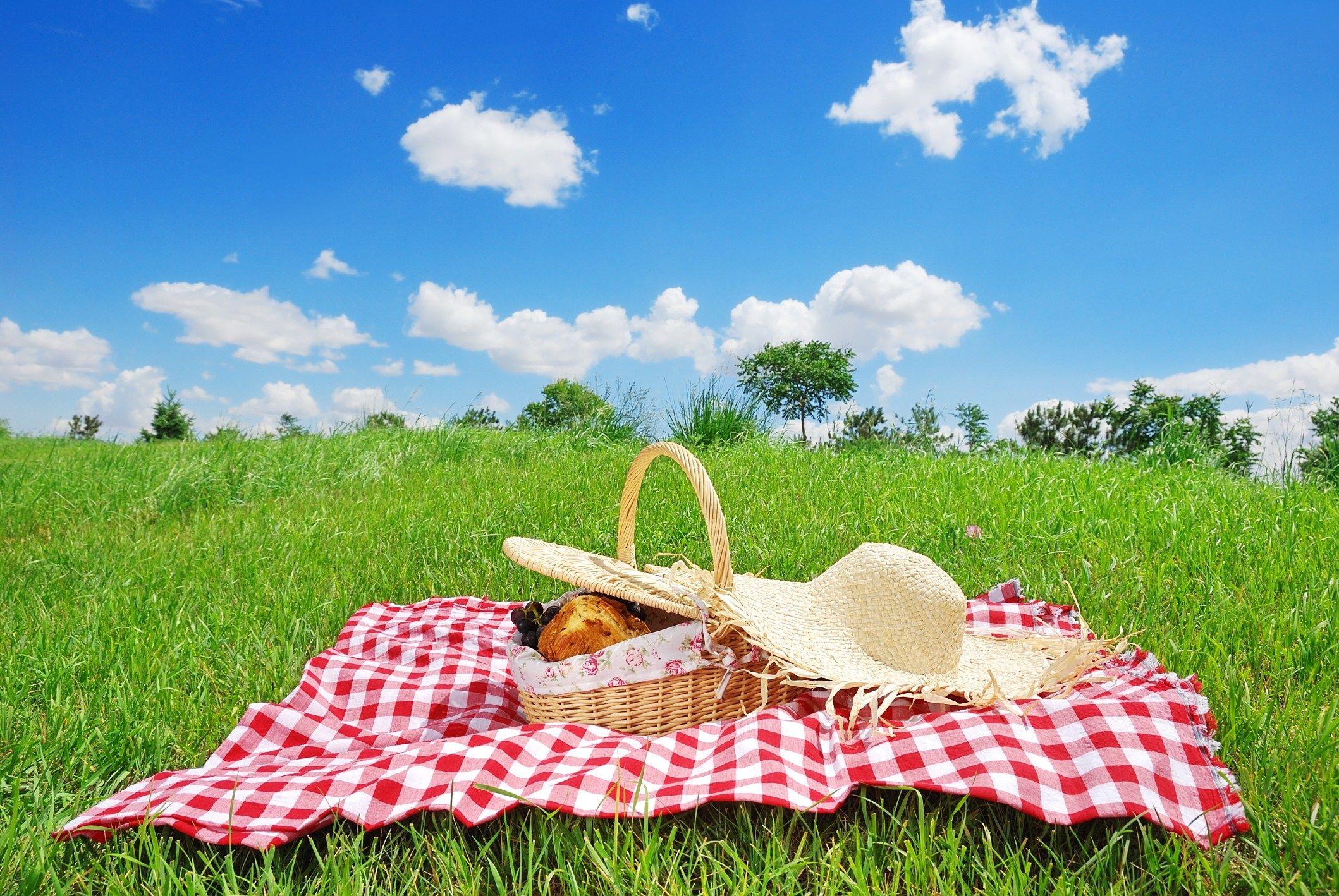Summer Picnic Wallpapers - Top Free Summer Picnic Backgrounds ...