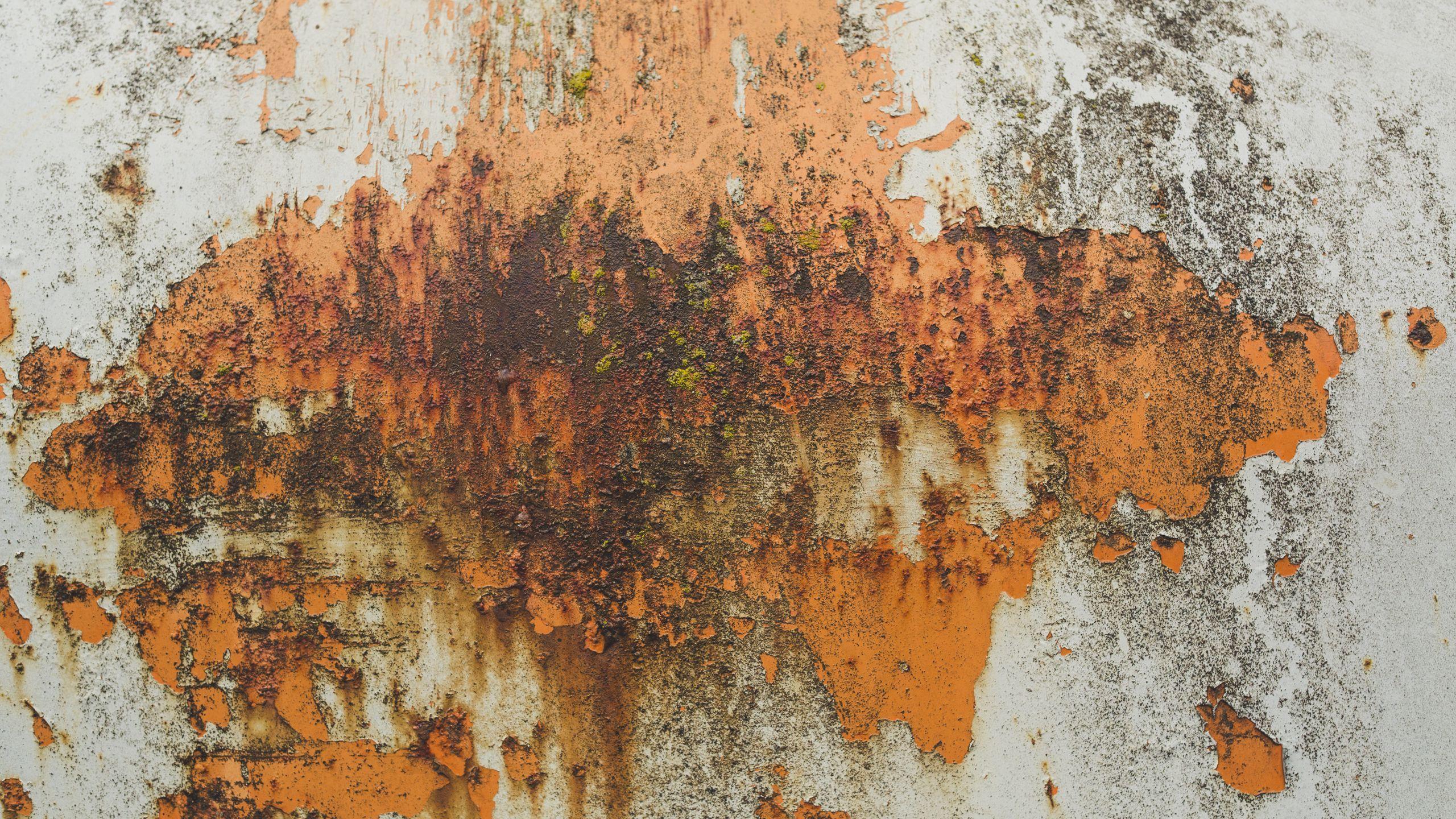 Rust 2560x1440 Wallpapers - Top Free Rust 2560x1440 Backgrounds ...