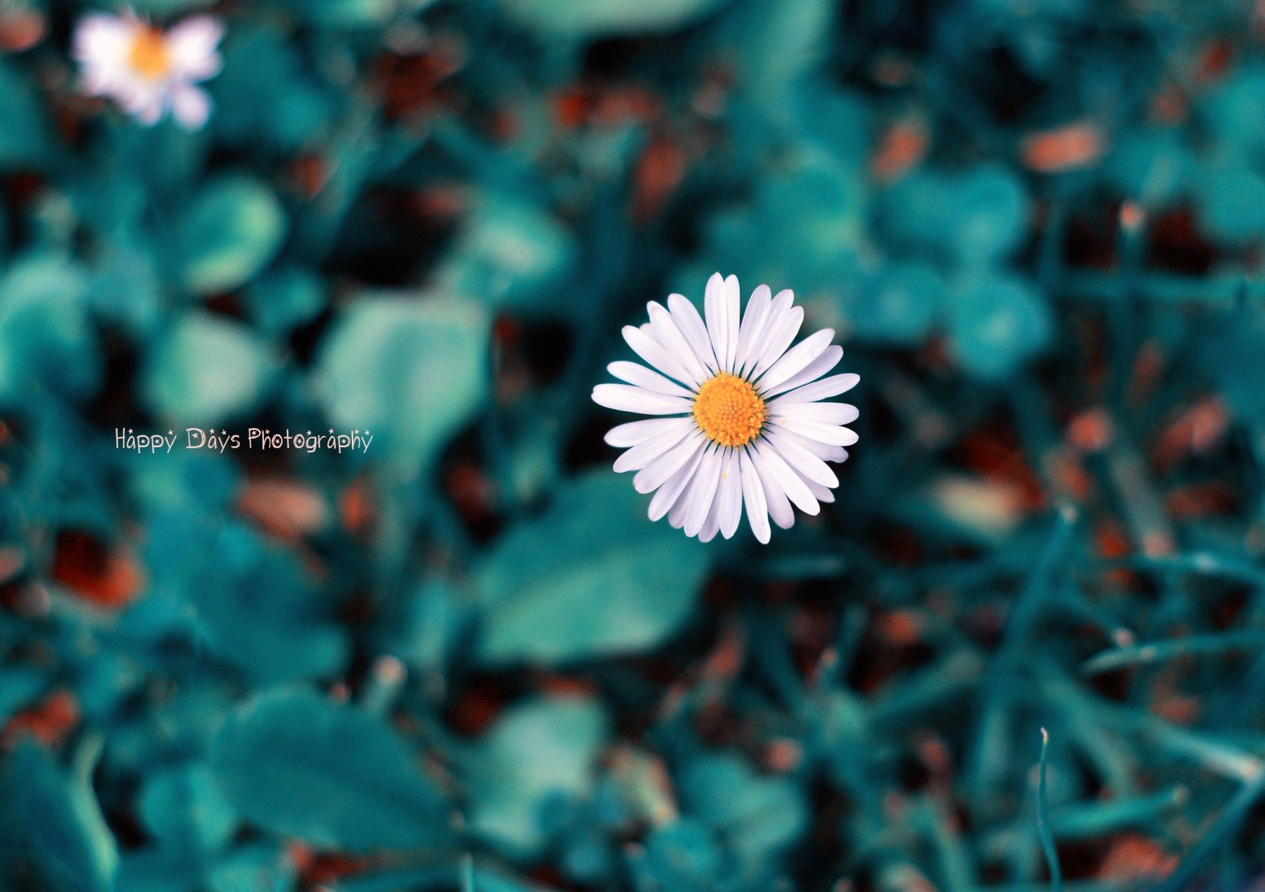 Uncommon Wallpapers - Top Free Uncommon Backgrounds - WallpaperAccess