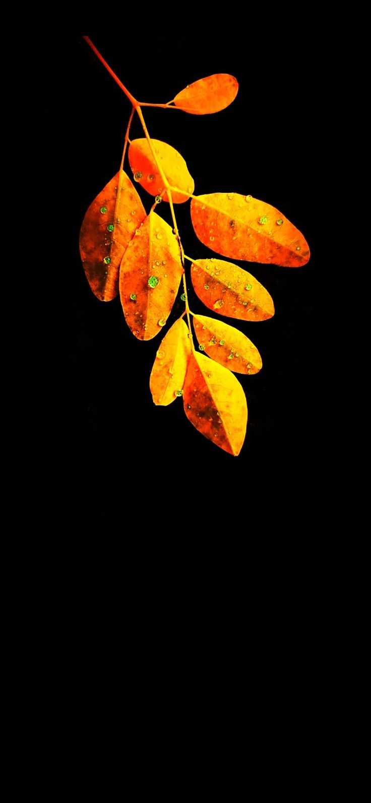 Uncommon Wallpapers - Top Free Uncommon Backgrounds - WallpaperAccess