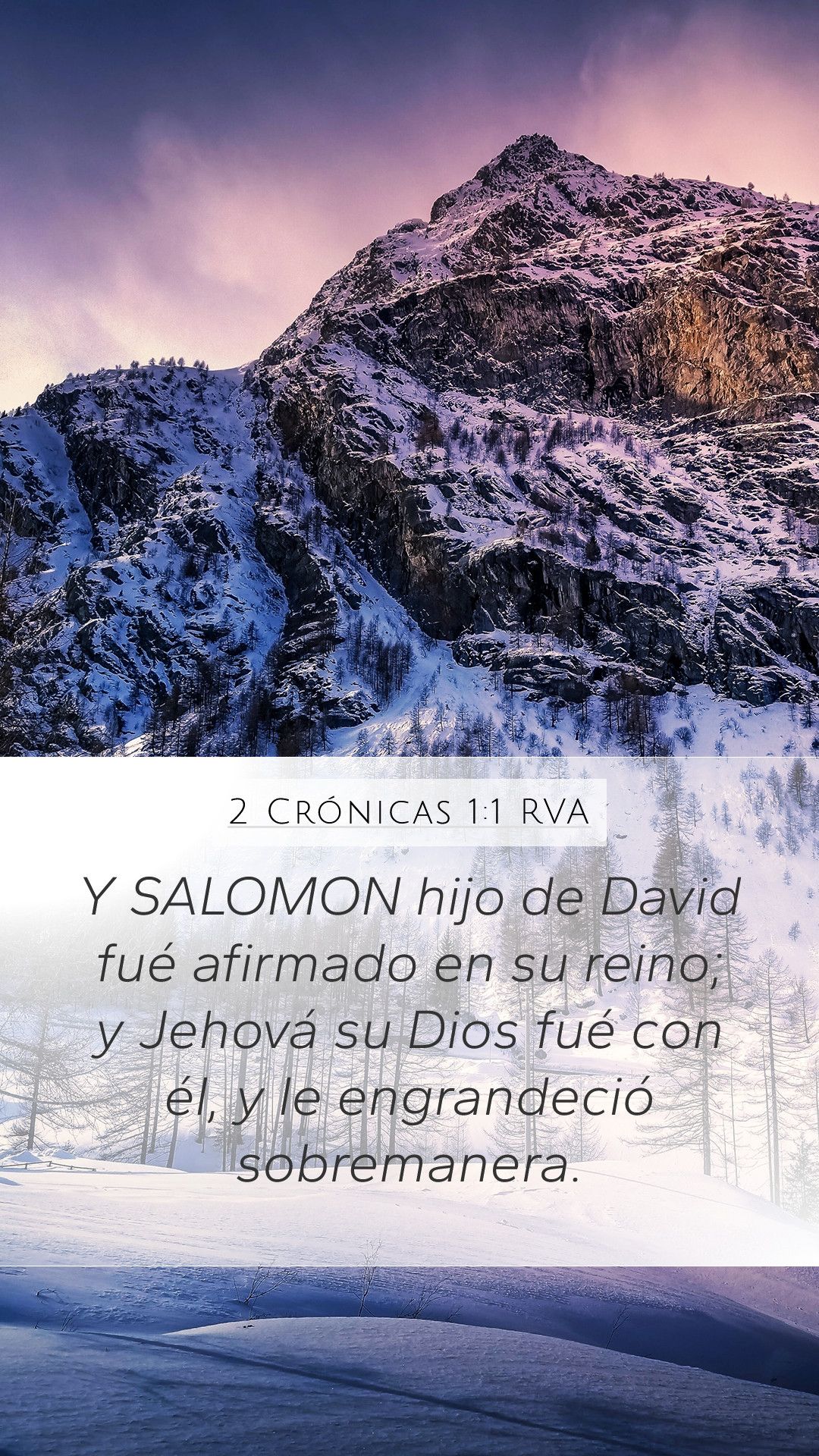 Salomón Wallpapers - Top Free Salomón Backgrounds - WallpaperAccess